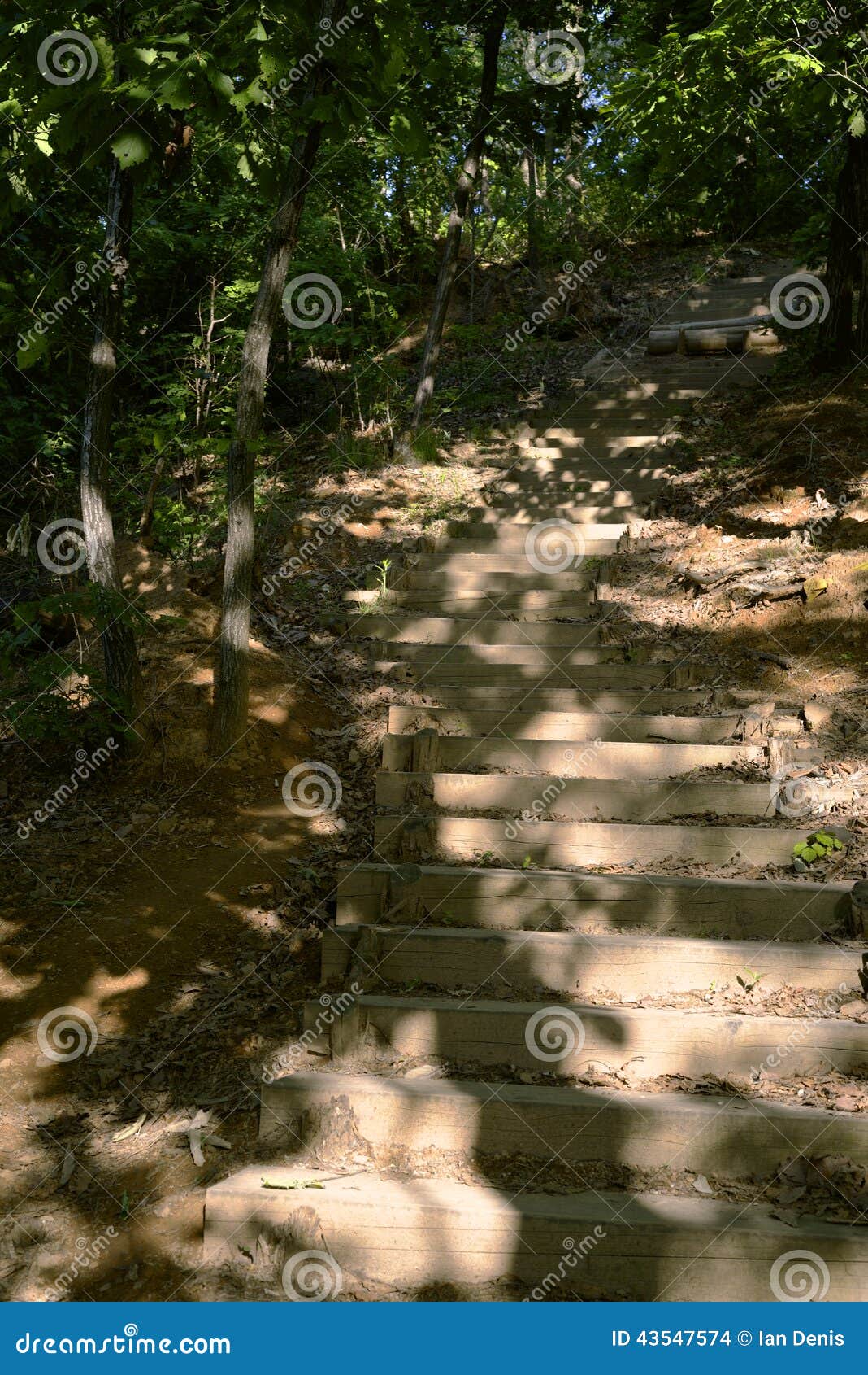 Ascending stairs stock photo. Image of wood, mountain - 43547574
