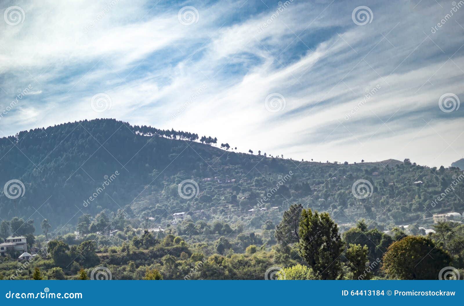 Ascending Trees on Mountain Stock Photo - Image of green, hill: 64413184