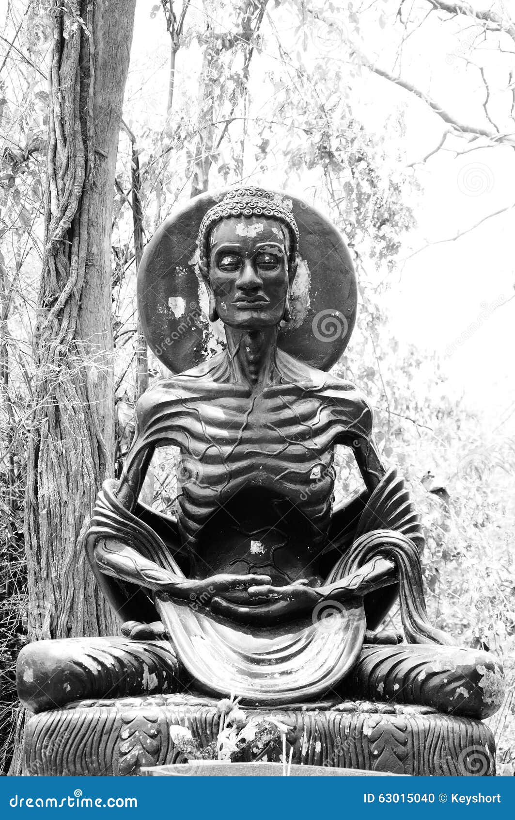 Asceticism Buddha Statue stock photo. Image of pattern - 63015040