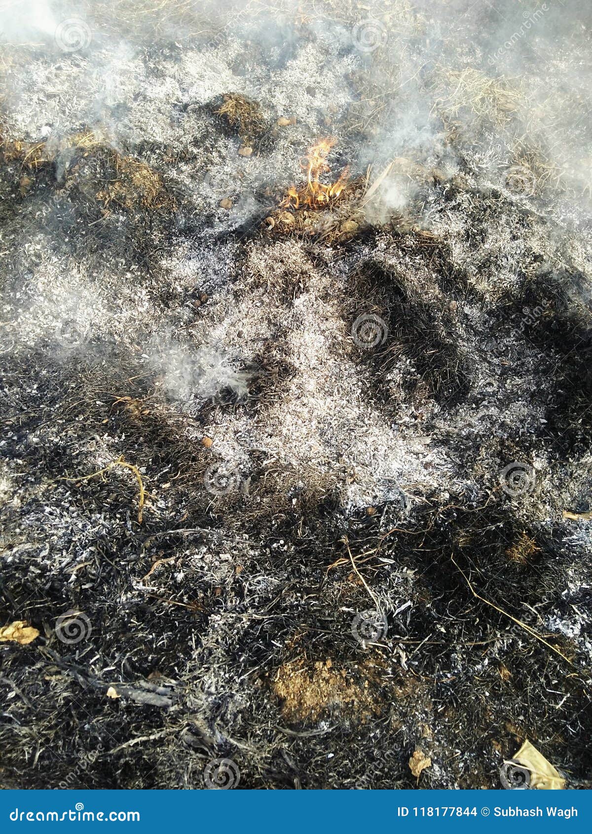 Asche stockfoto. Bild von asche, bauernhof, gefahren - 118177844