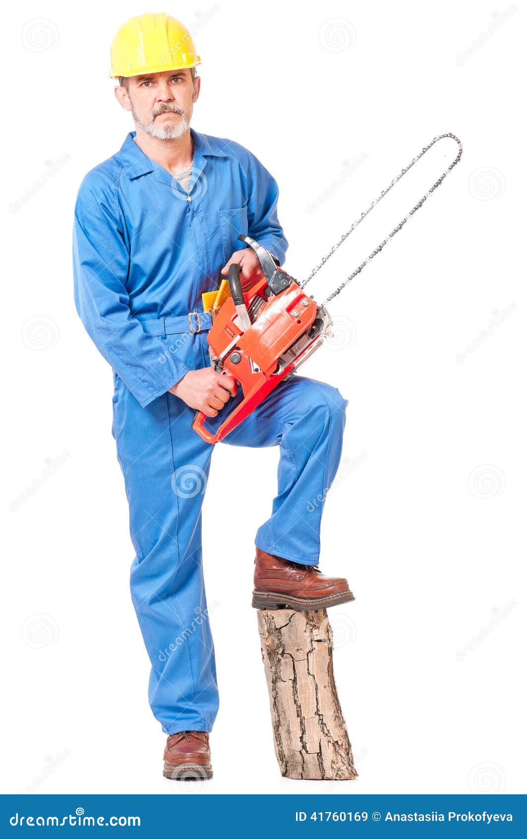 Aserrador adulto imagen de archivo. Imagen de duro, bosque - 41760169