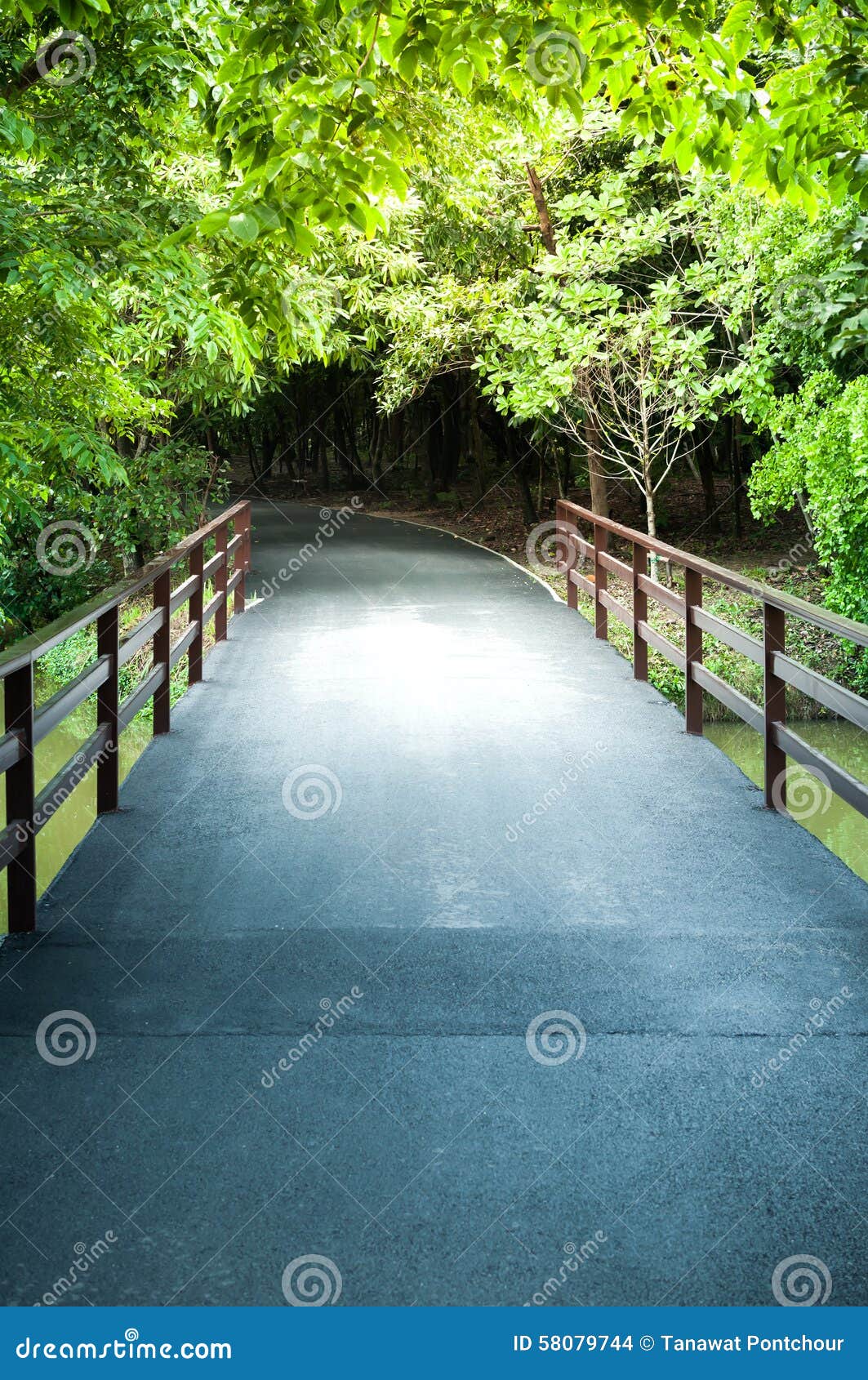 Bridge In Pathway Of A Trail Used For Trekking Inside Kinabalu National ...
