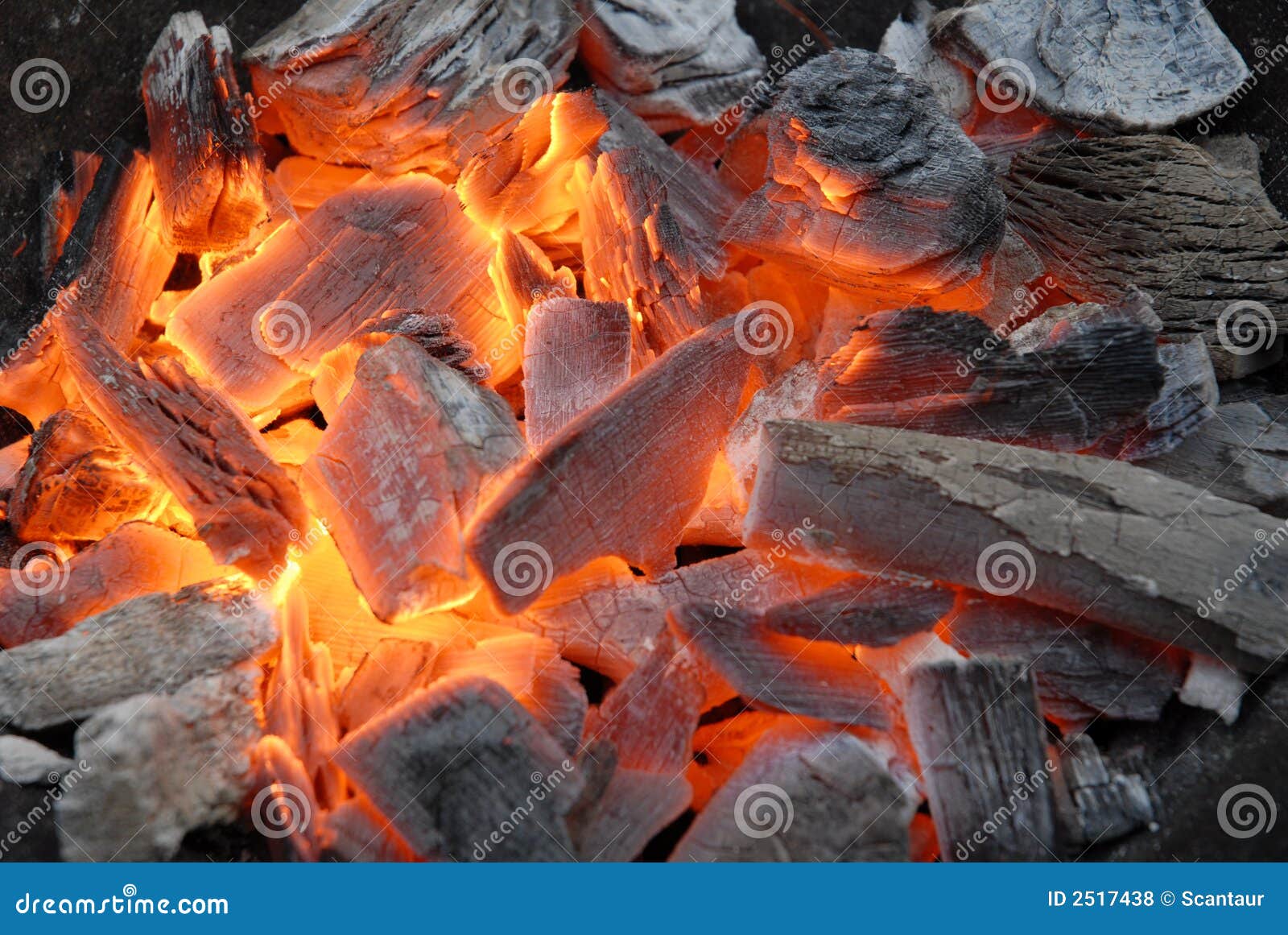 Ash stock photo. Image of cookout, feast, slack, schar - 2517438