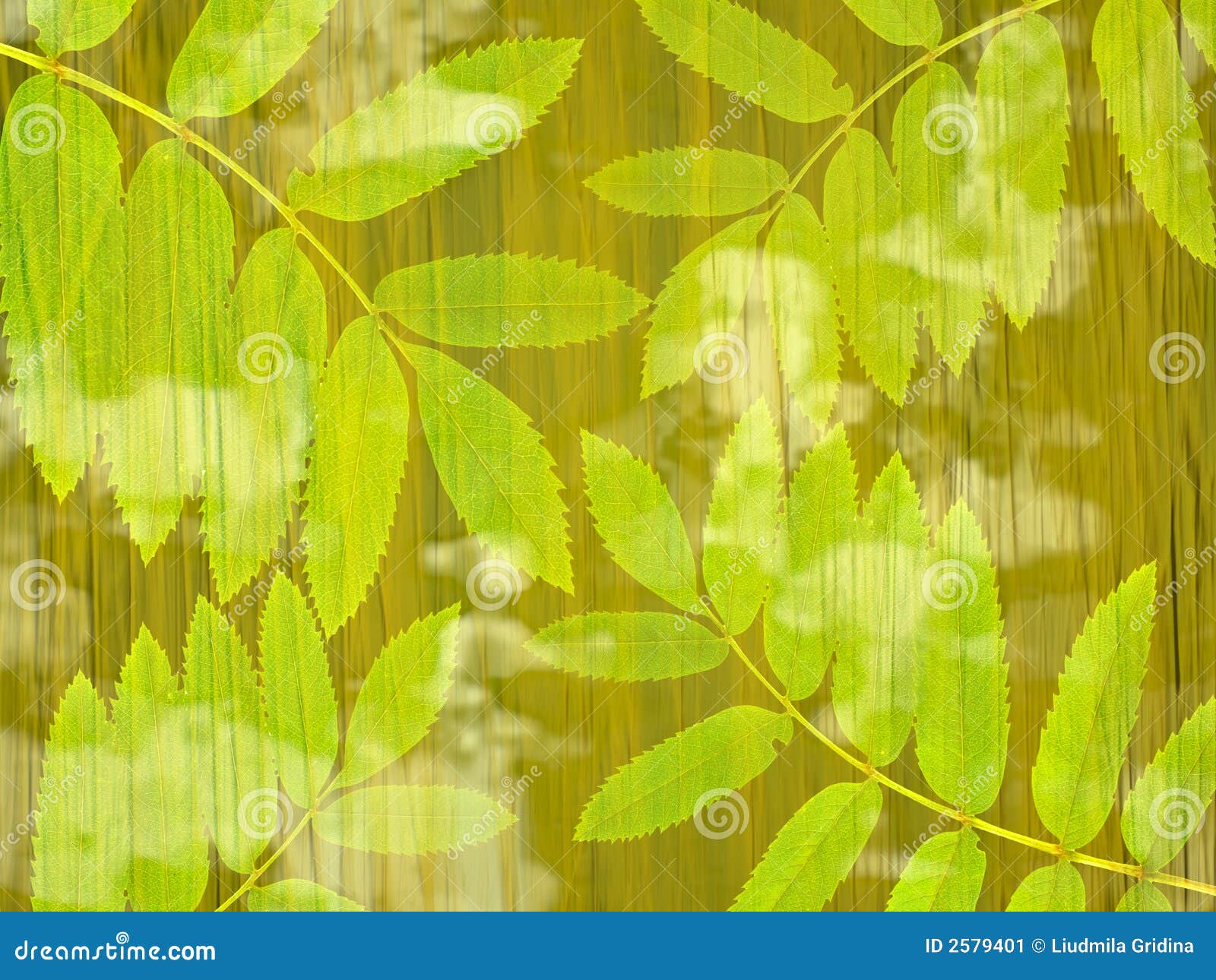 Ash background stock illustration. Illustration of environment - 2579401