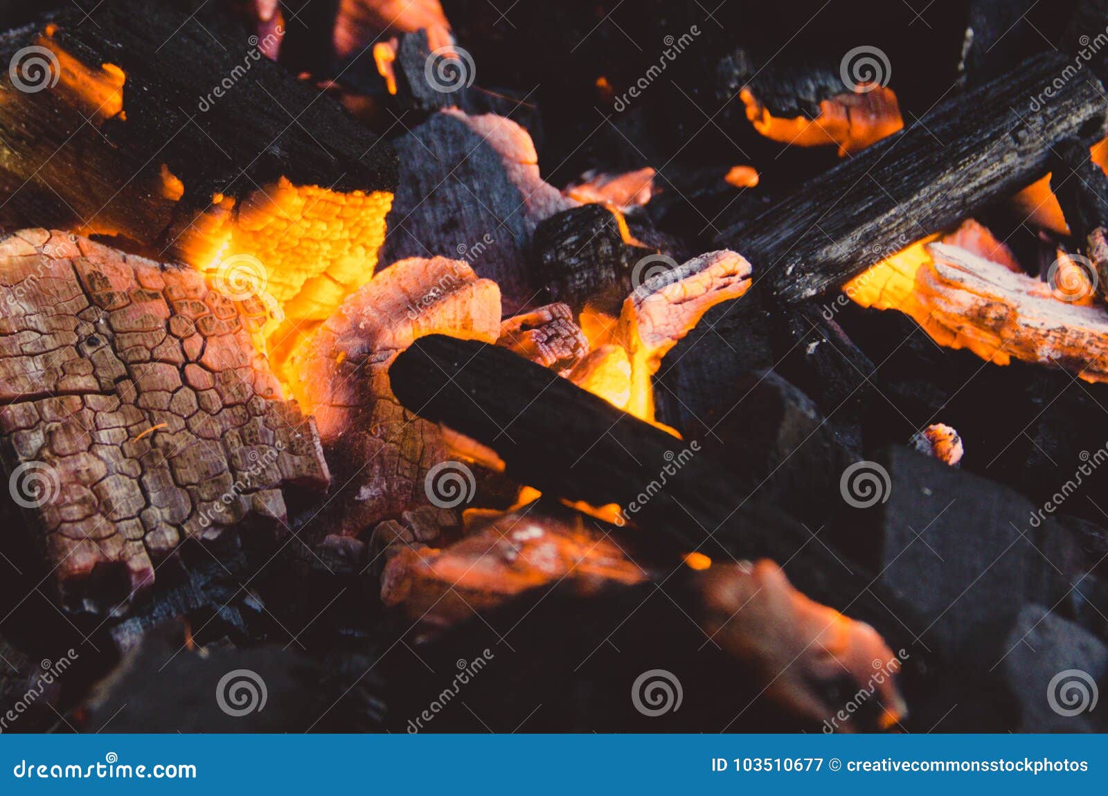 Ash, Blaze, Bonfire, Burn Picture. Image: 103510677