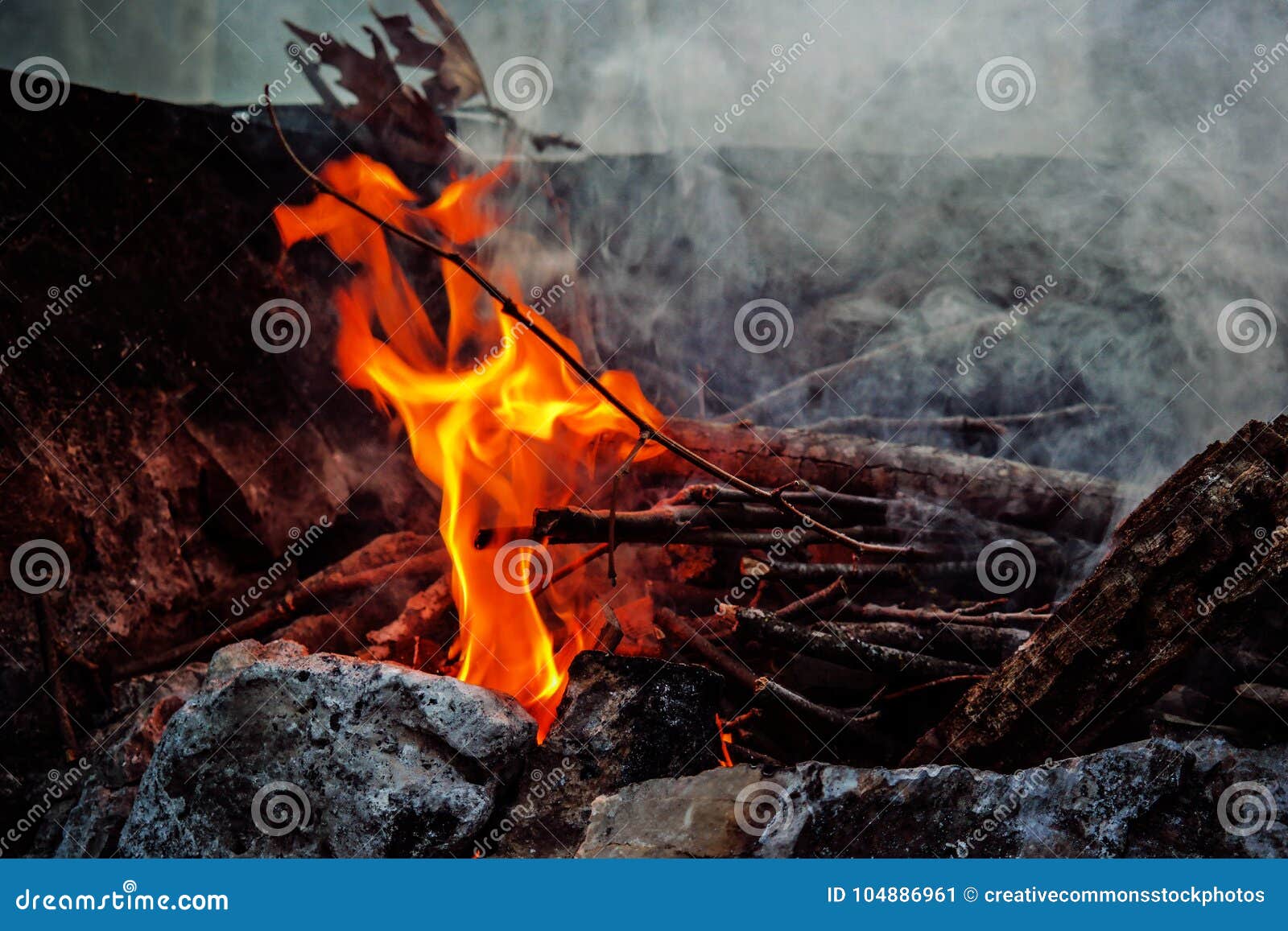 Ash, Blaze, Bonfire, Burn Picture. Image: 104886961