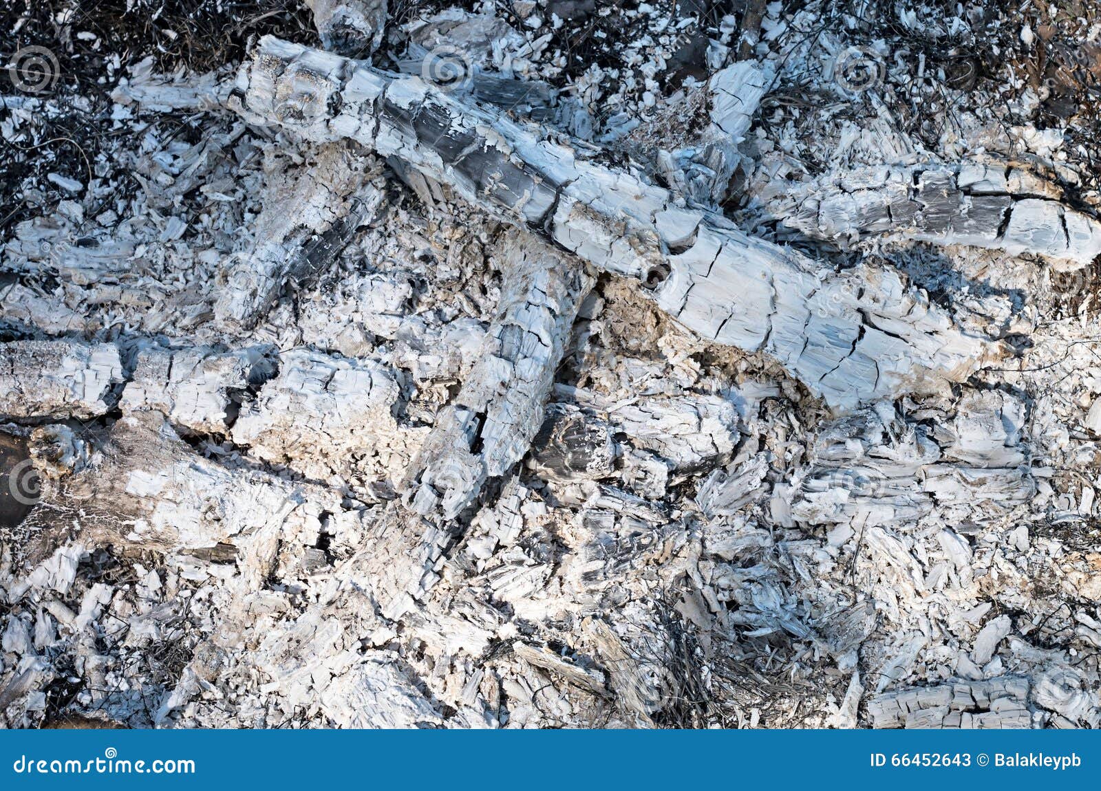 Ash bonfire stock image. Image of background, natural - 66452643