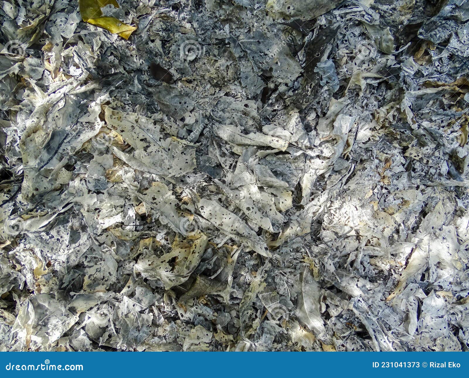 Ash Burning Dry Leaves Texture Stock Image - Image of wall, stonewall ...