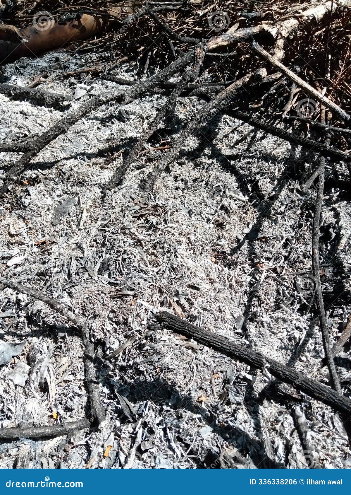 Ash Charcoal Dust Dustsfire Stock Photo - Image of dustsfire, dusts ...