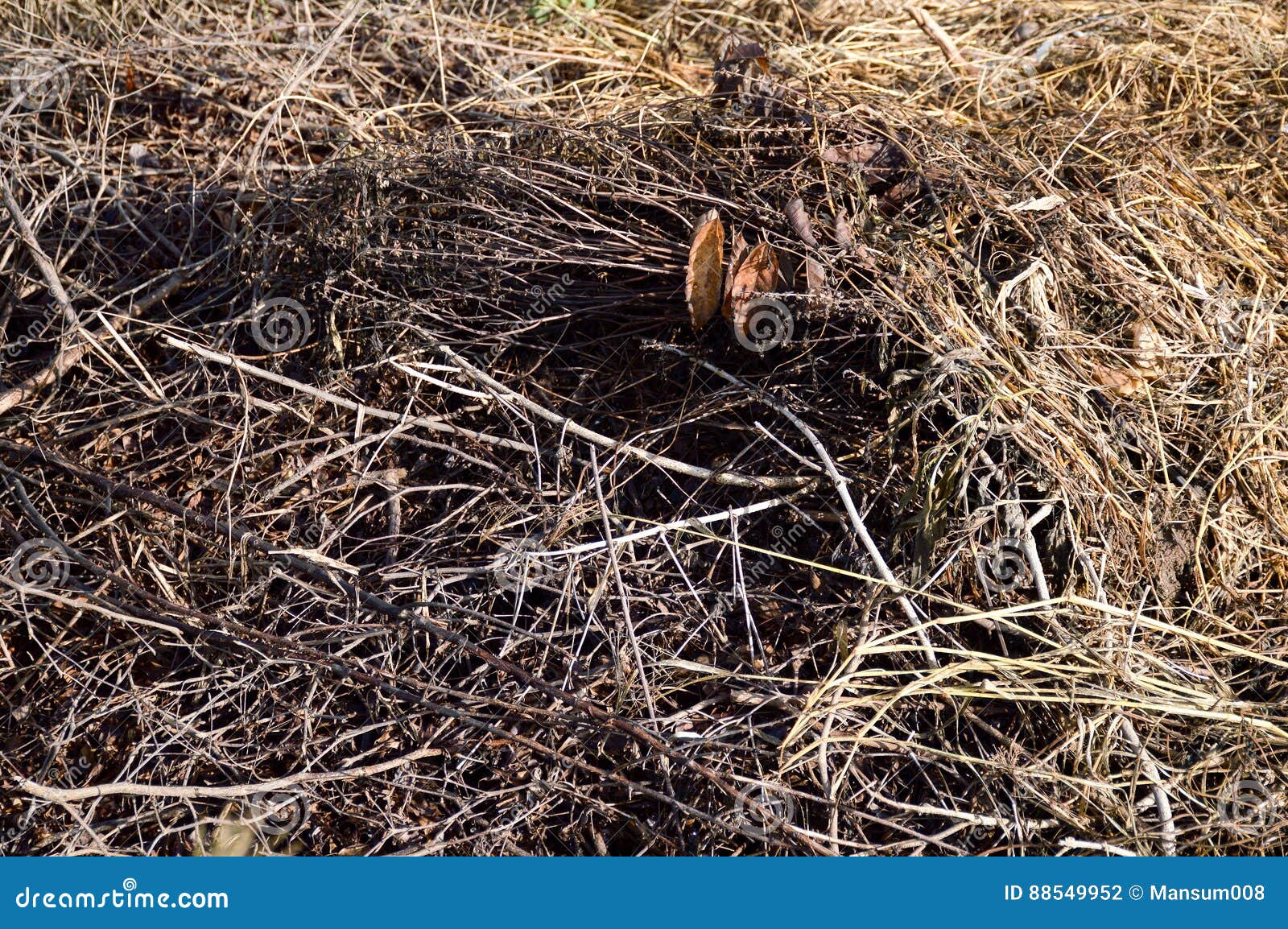 Ash on dry grass stock photo. Image of burning, country - 88549952