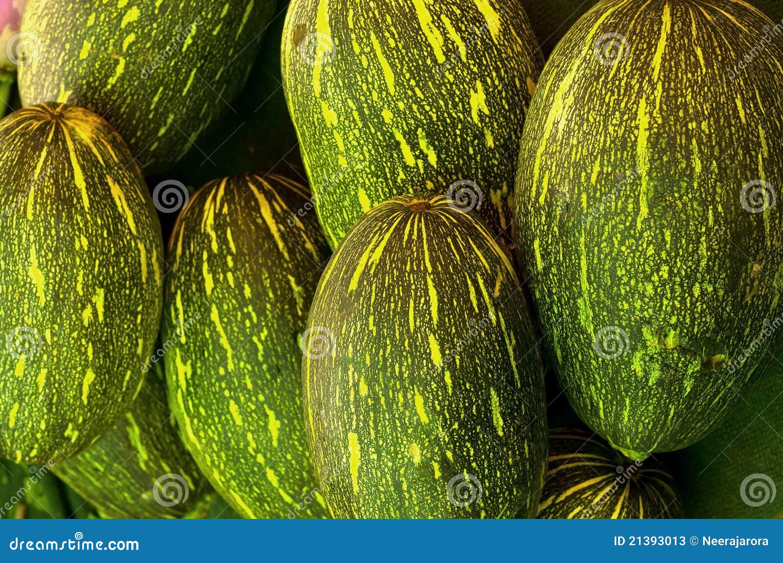 Ash gourd stock image. Image of fresh, good, herbal, garden - 21393013