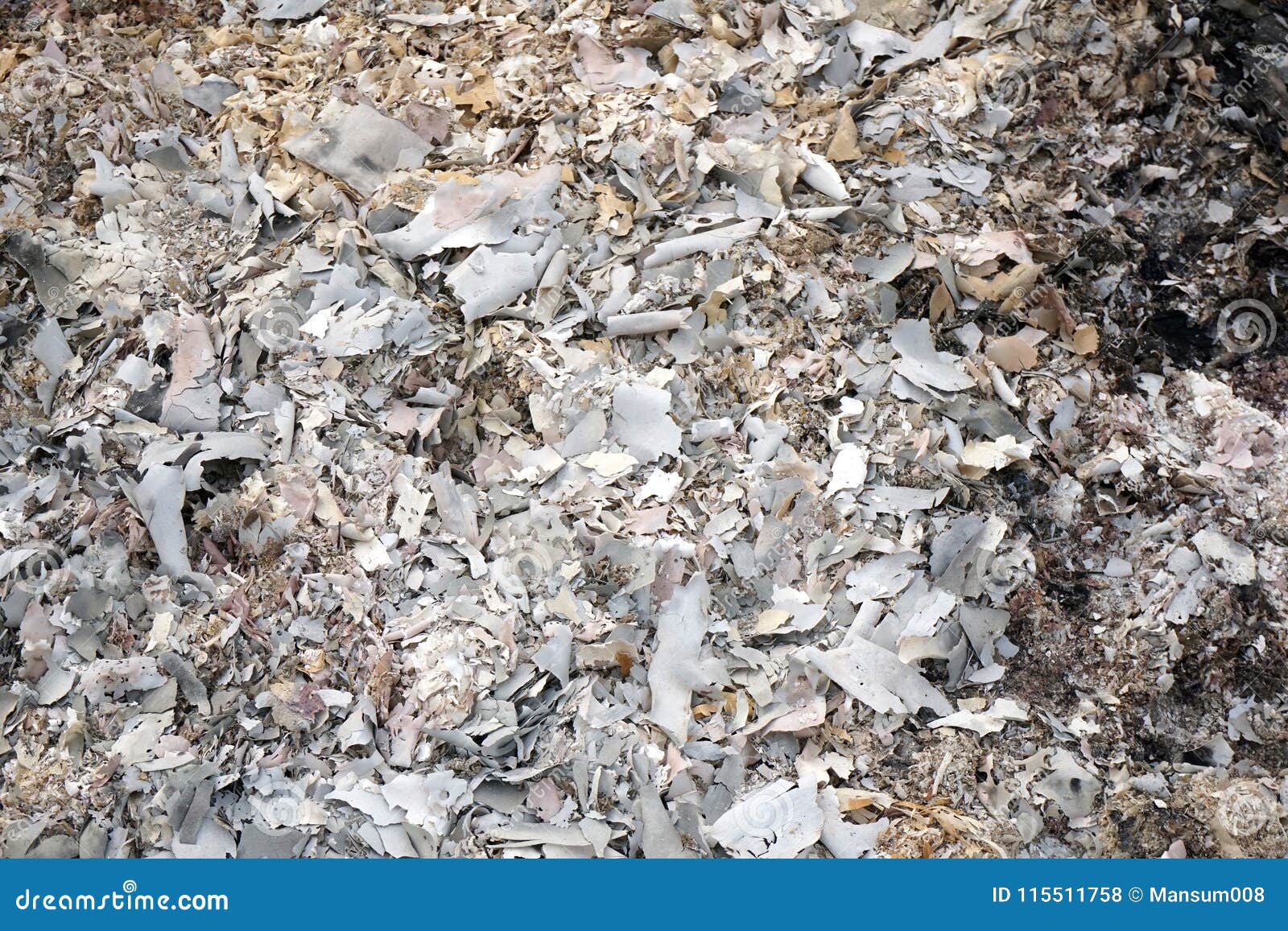 Ash on the ground stock photo. Image of black, outdoor - 115511758