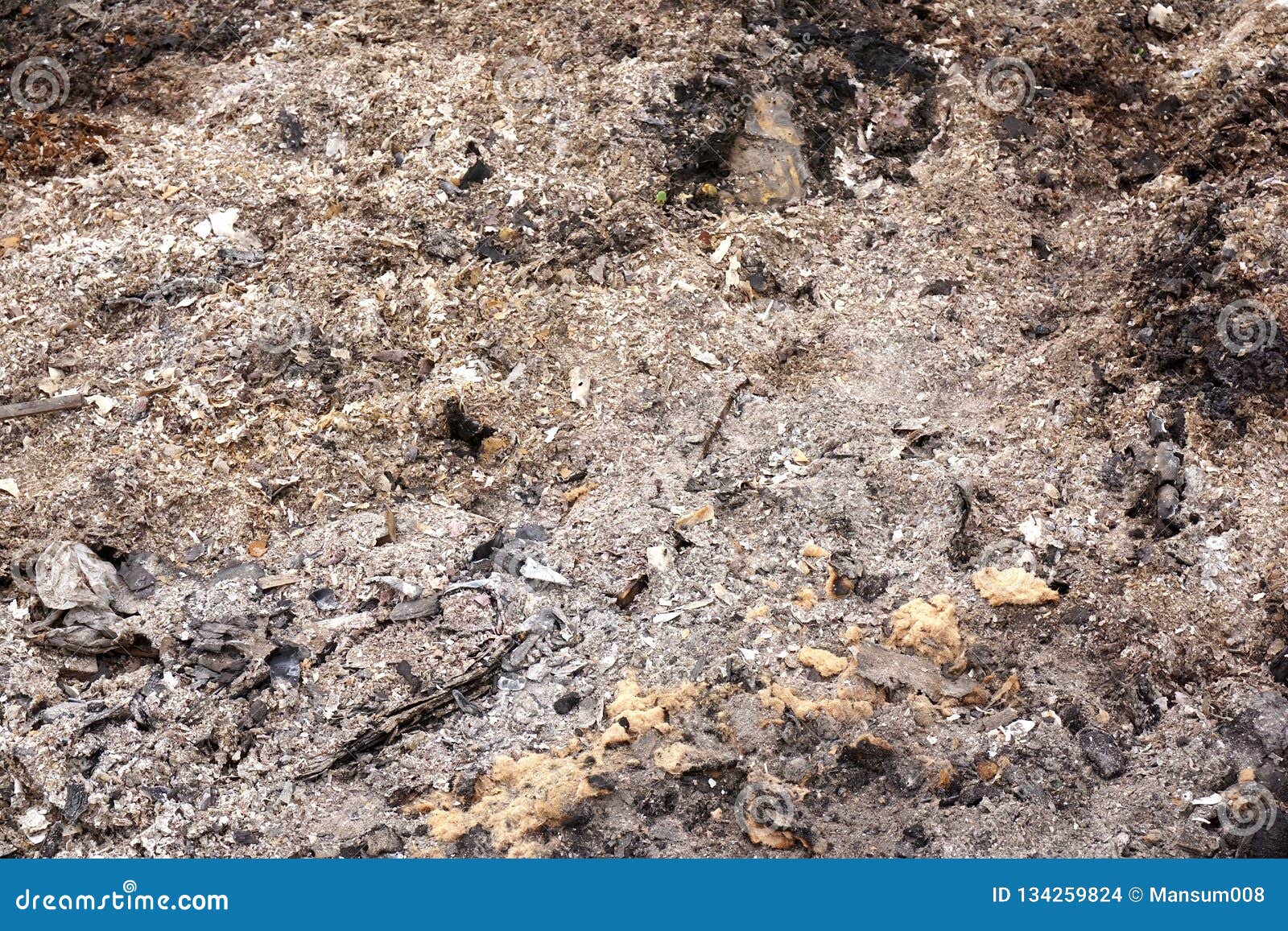 Ash on the ground stock photo. Image of flame, burned - 134259824