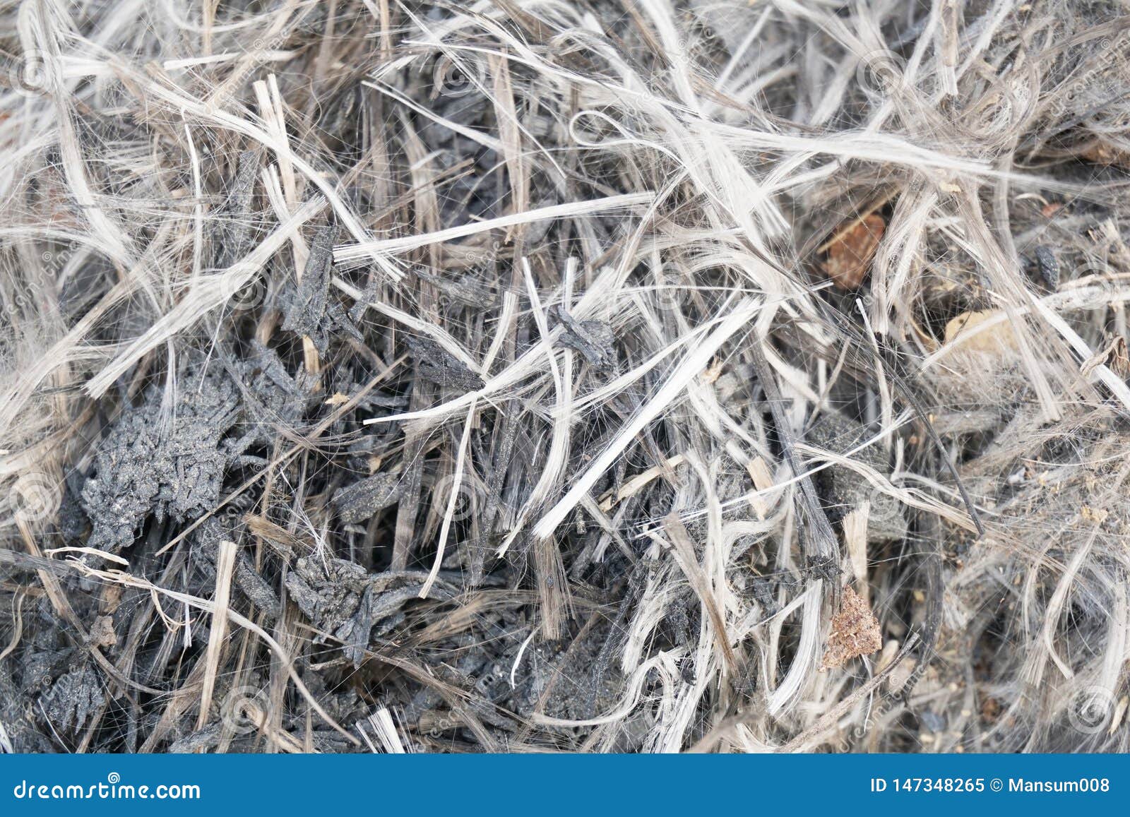 Ash on the ground stock image. Image of dirty, dust - 147348265