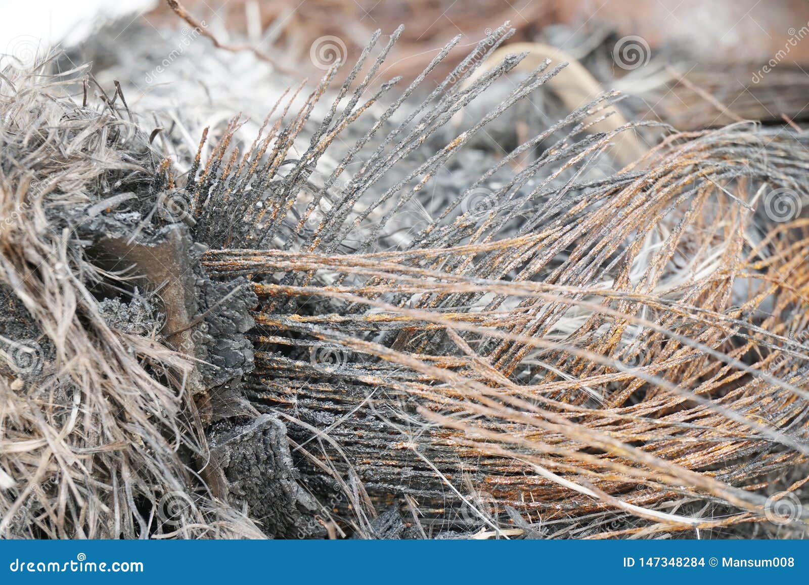 Ash on the ground stock photo. Image of dust, flame - 147348284