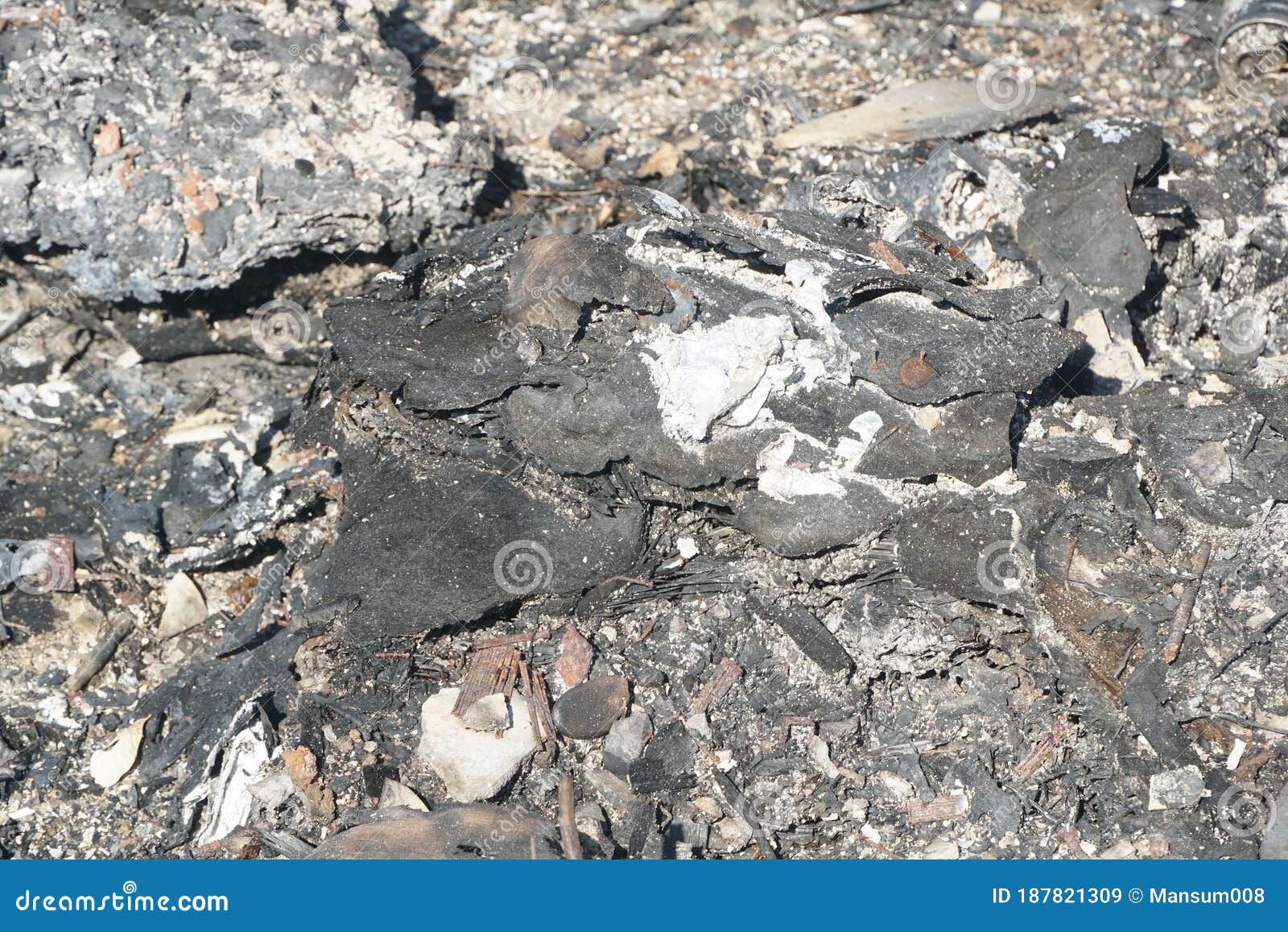Ash on the ground stock image. Image of pollution, junk - 187821309