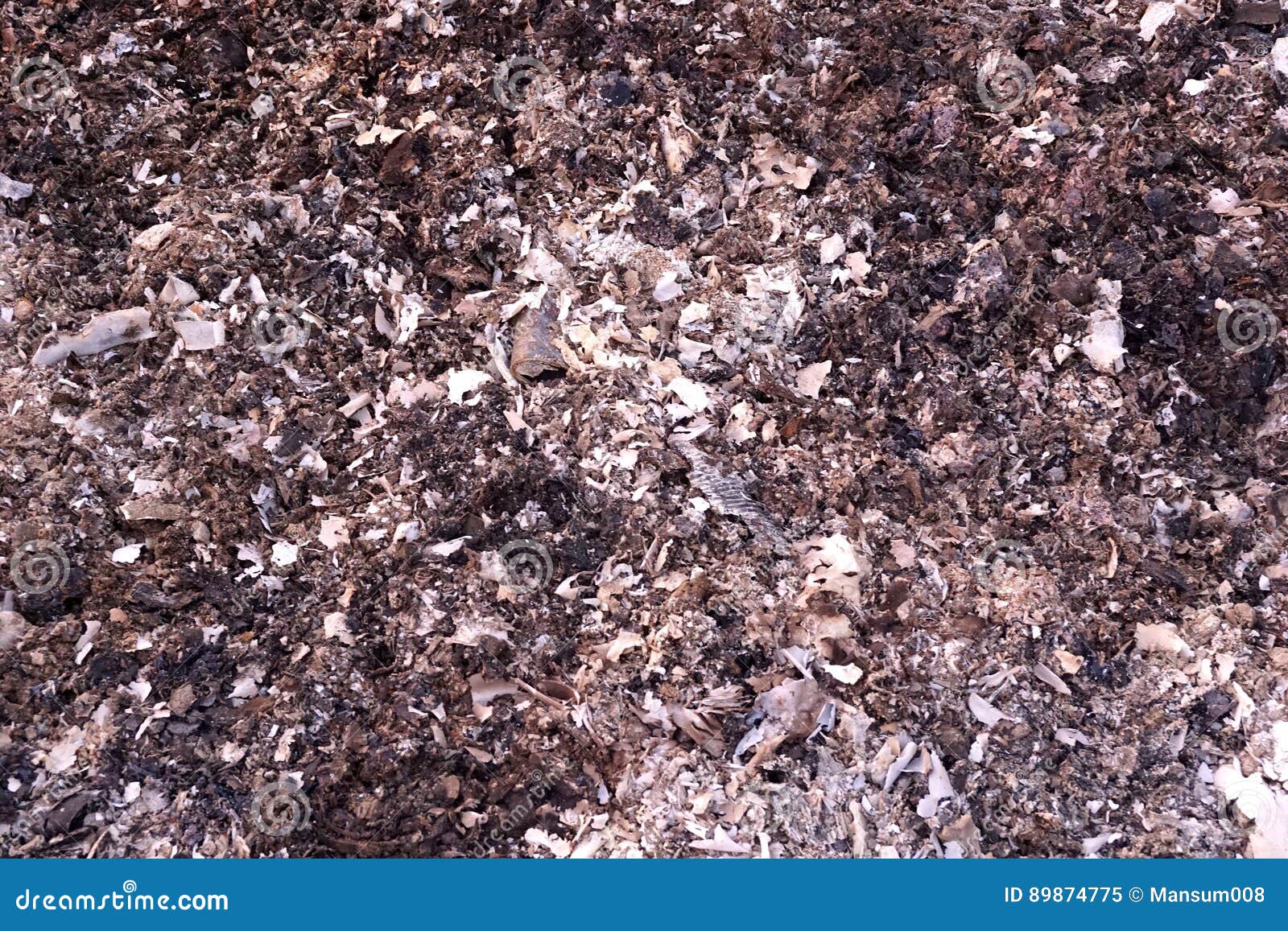 Ash on the ground stock image. Image of fire, smoke, bonfire - 89874775