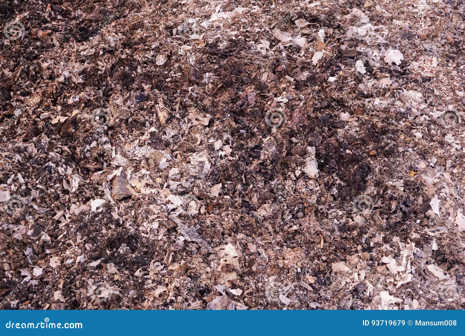 Ash on the ground stock image. Image of bonfire, burned - 93719679