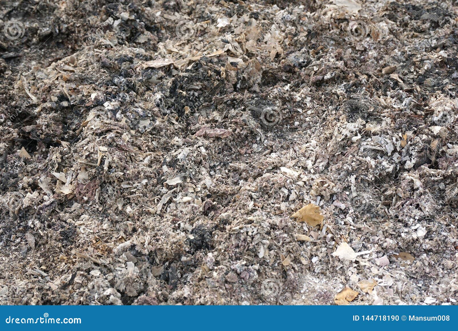 Ash on the ground stock photo. Image of smoke, ground - 144718190