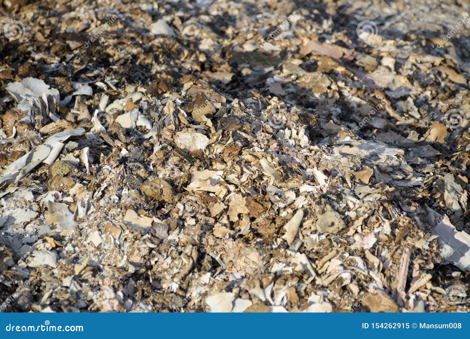 Ash on the ground stock image. Image of smoke, nature - 154262915