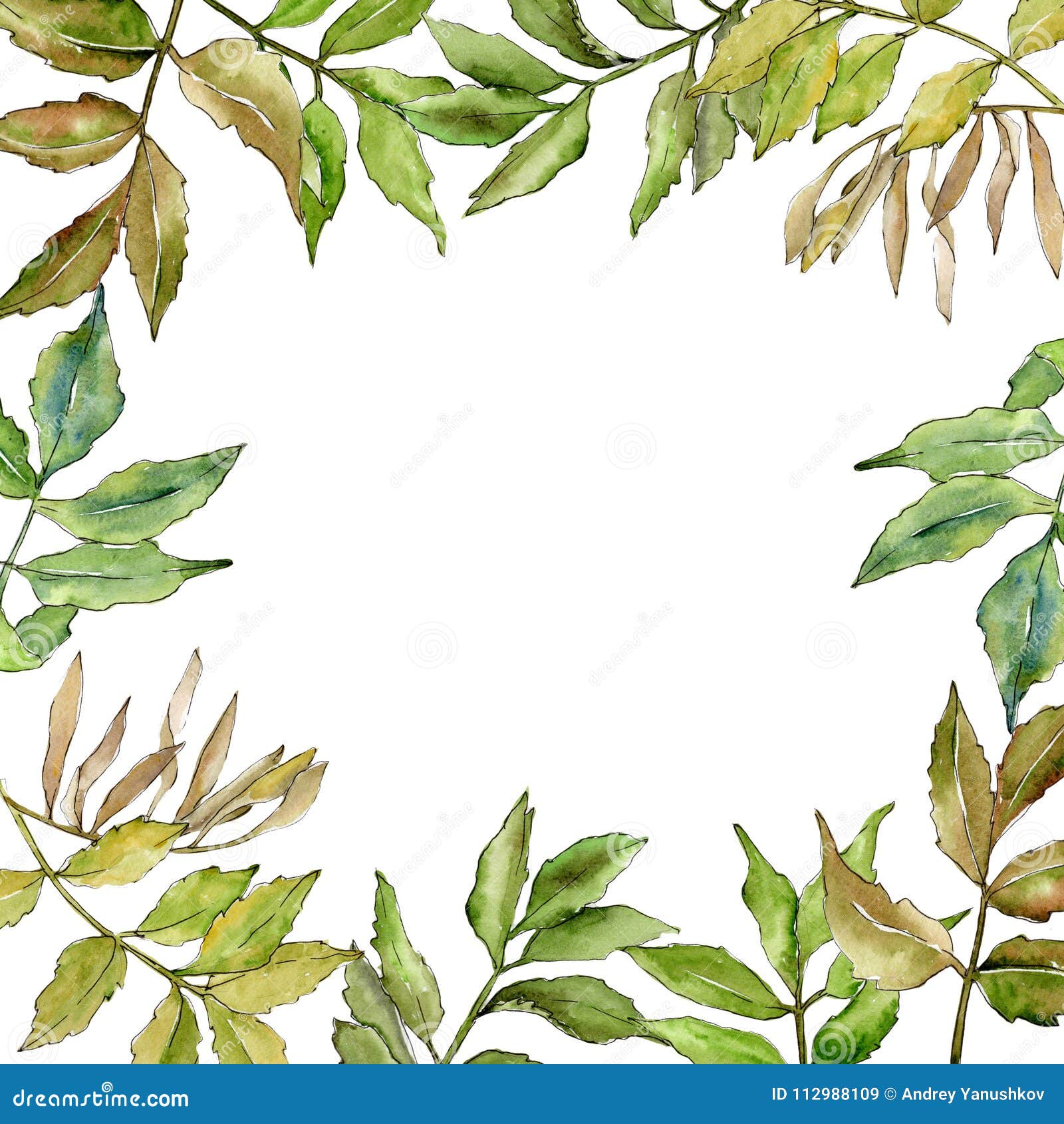 Ash Leaves Frame in a Watercolor Style. Stock Illustration ...