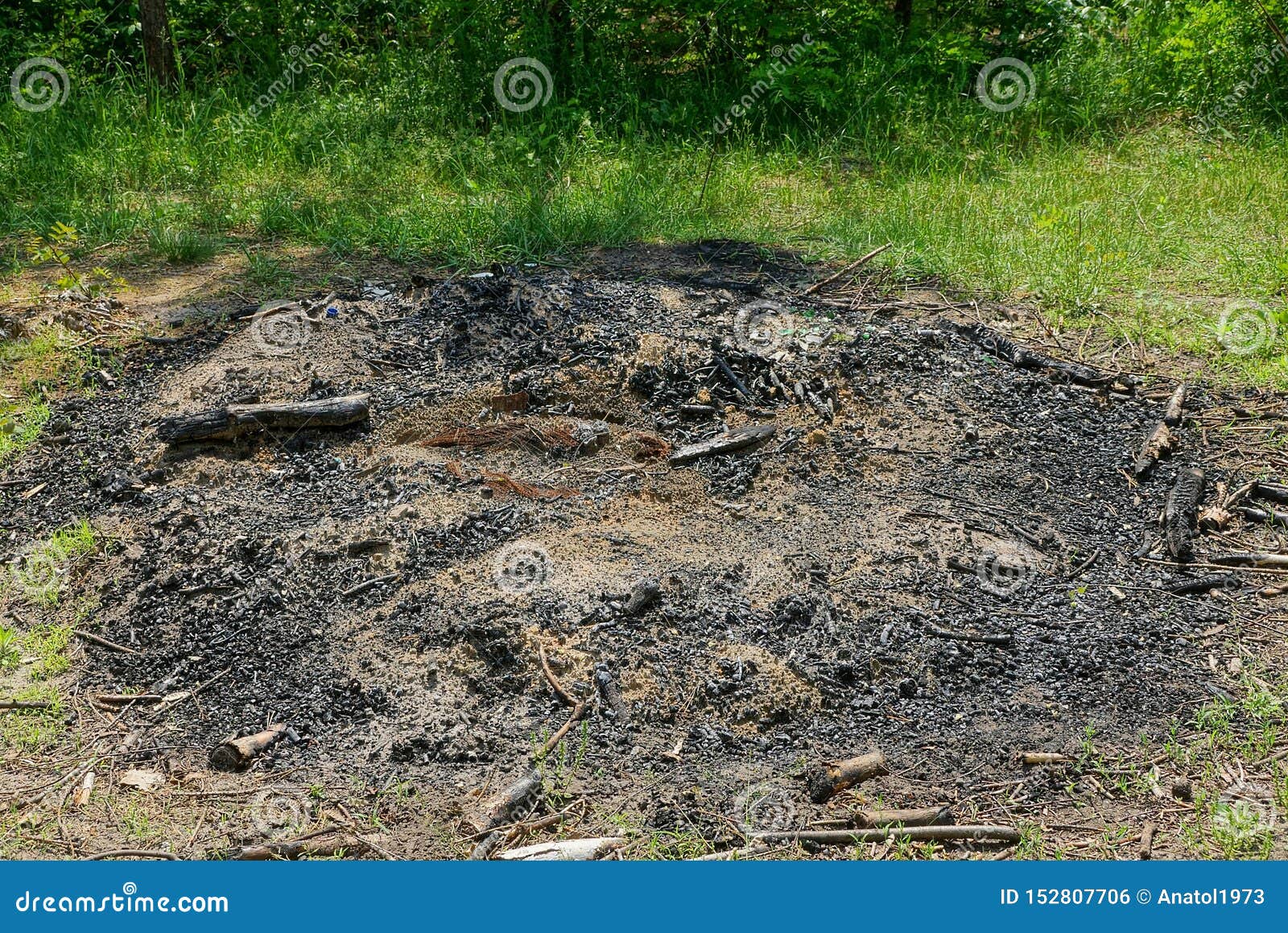 Ash and Pieces of Branches in an Extinct Fire Stock Photo - Image of ...