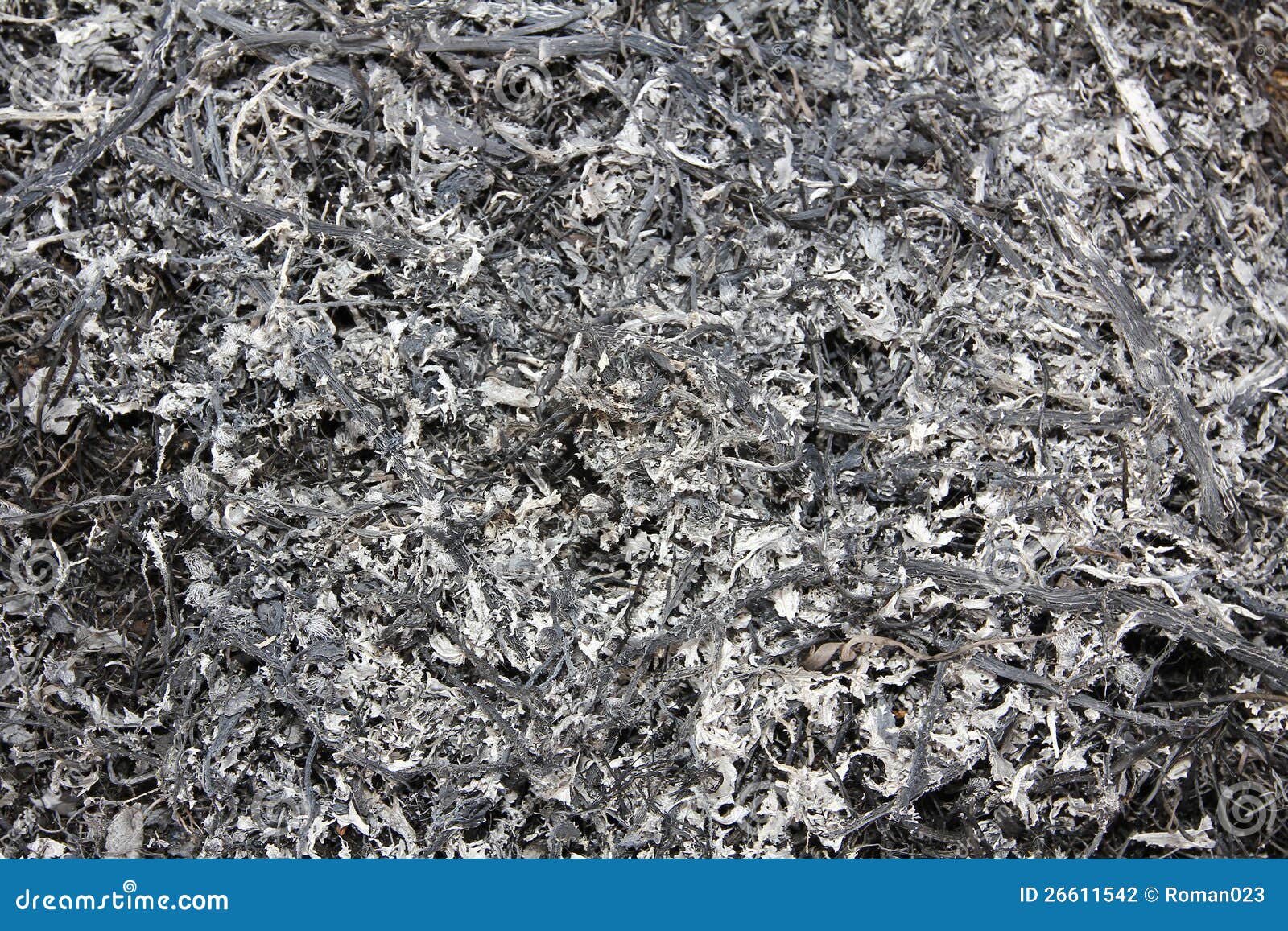 Ash of plants texture stock photo. Image of fire, gray - 26611542