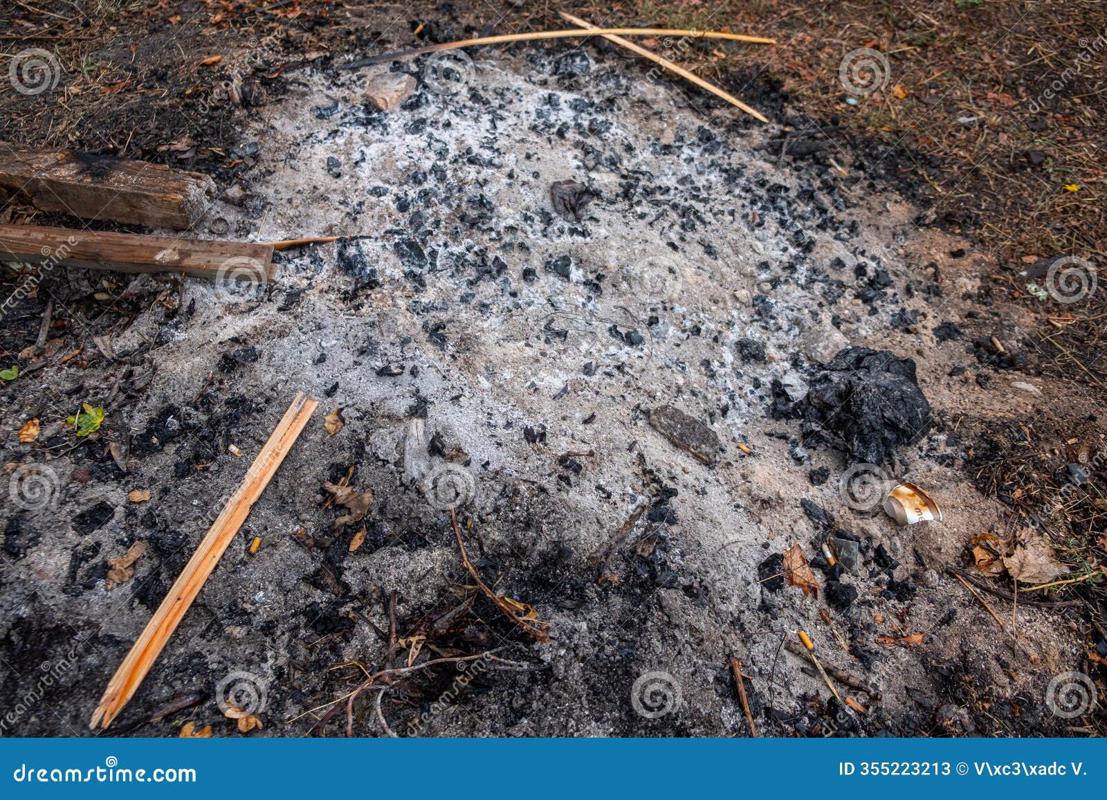 Extinguished Cartoons, Illustrations & Vector Stock Images - 1262 ...