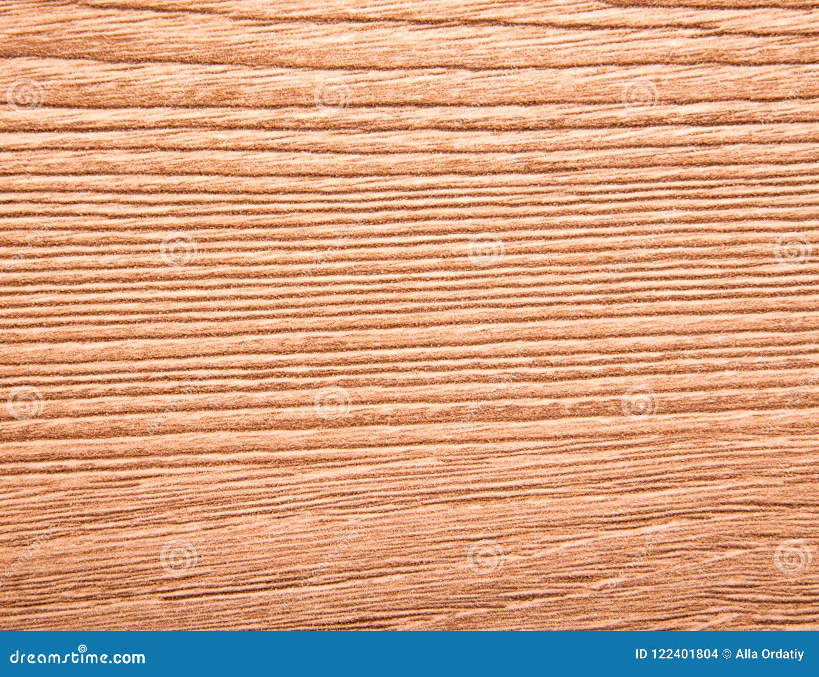 Ash Royal Light.Fine Image of Natural Wood Texture Background. Stock ...