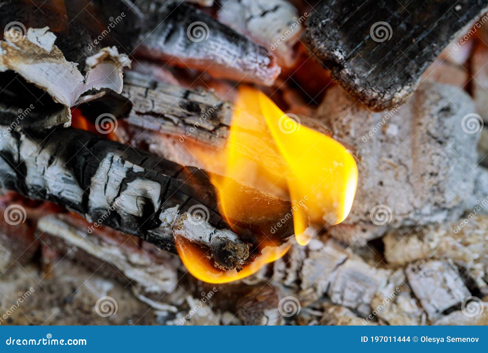 Ash and Small Fire with Burned Wood Stock Photo - Image of orange ...