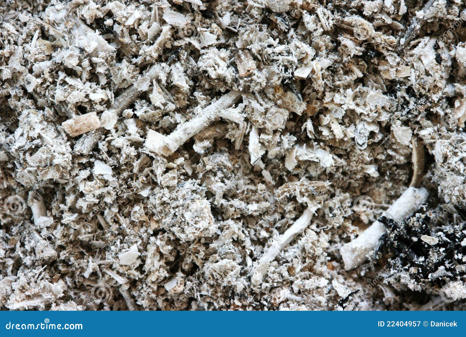 Ash texture stock image. Image of grey, gray, pattern - 22404957