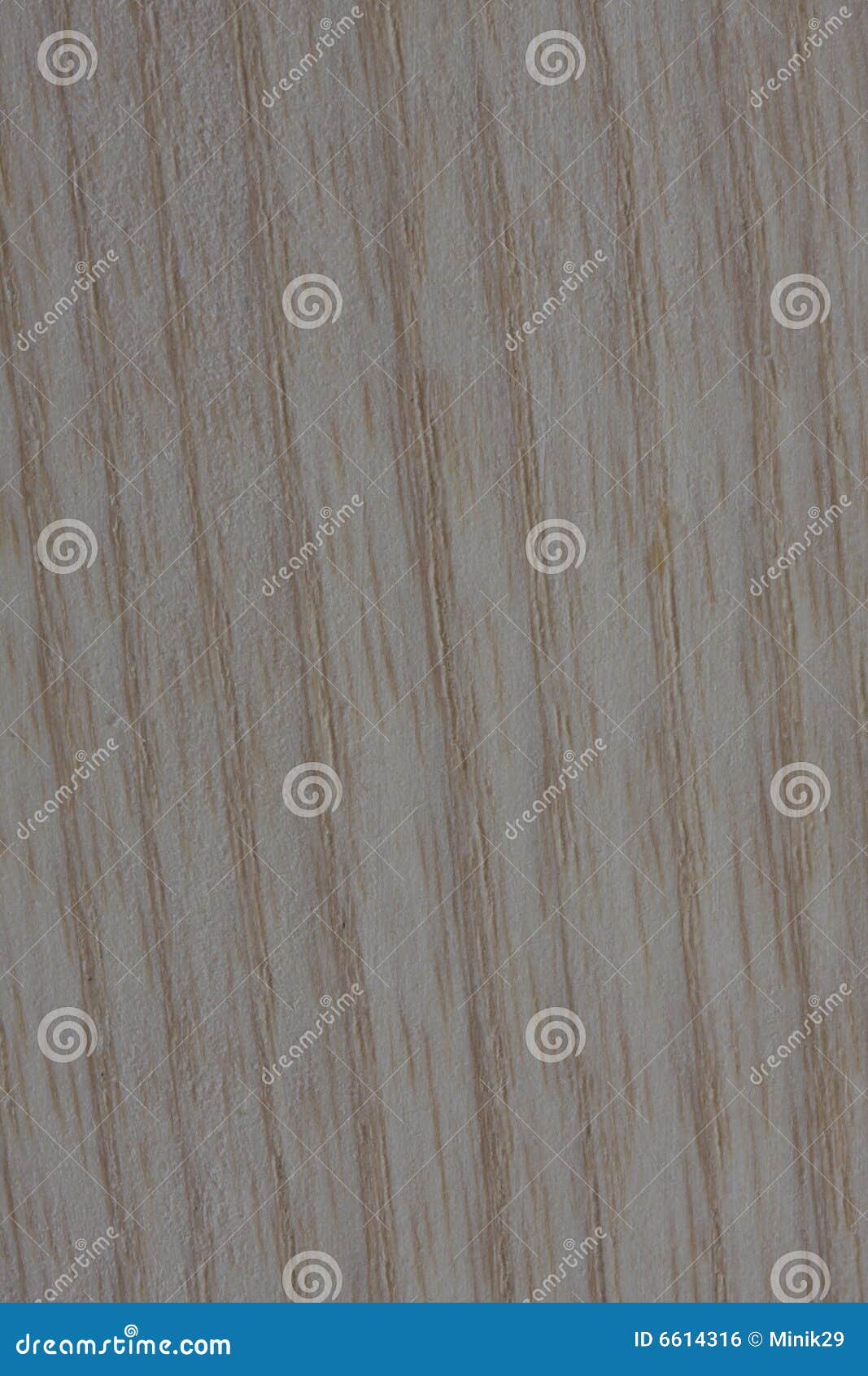Ash texture stock photo. Image of timber, texture, material - 6614316