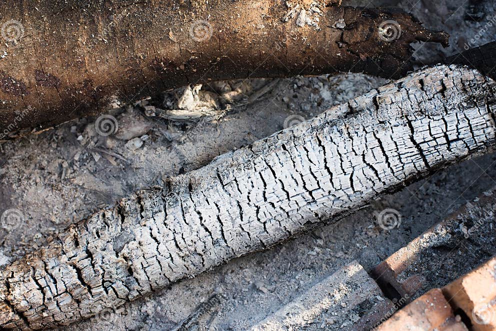Ash Texture Buring Firewood Stock Photo - Image of gray, black: 85066448