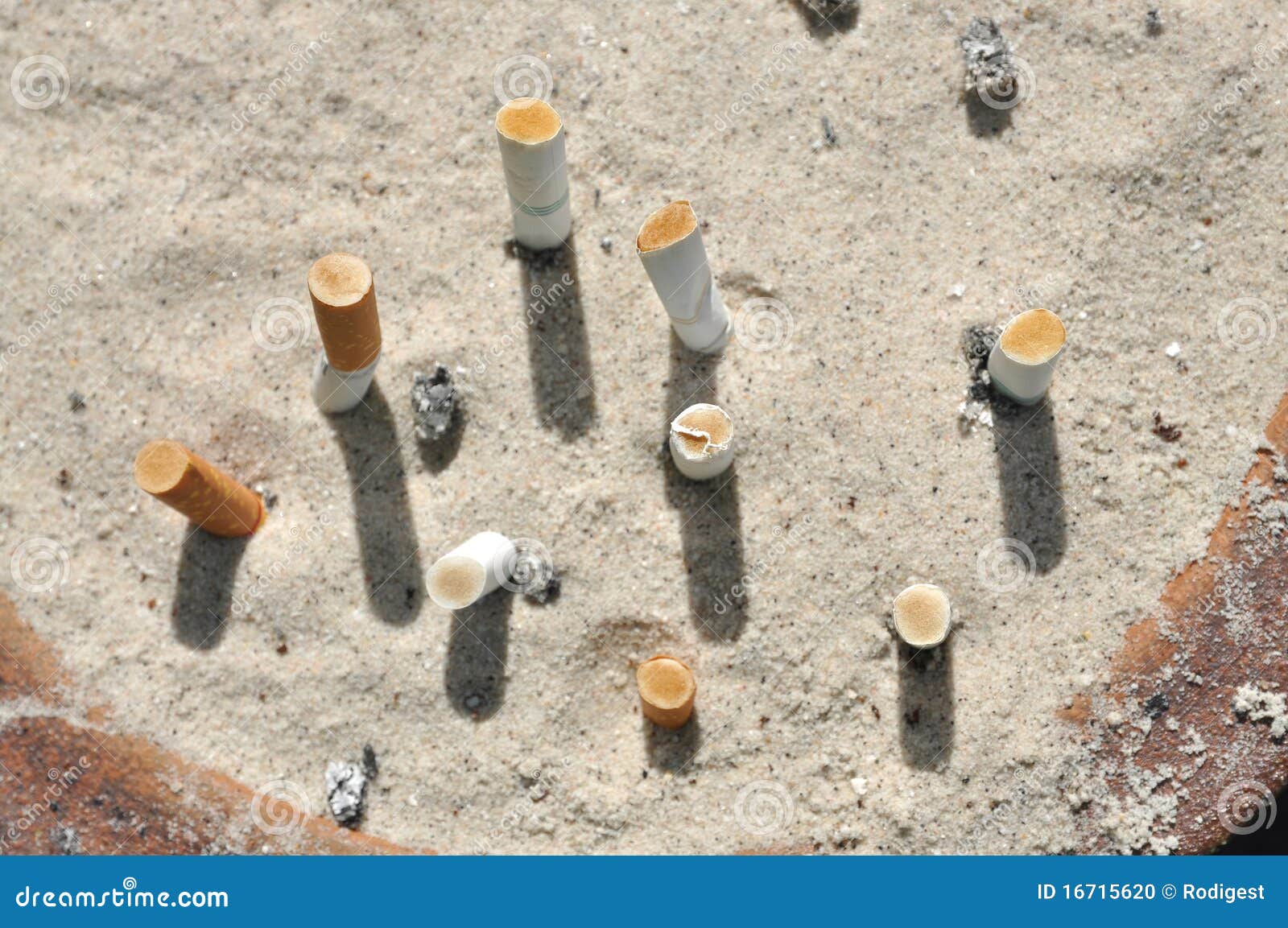 Cigarettes And Ash On Sand In Trash Tray Stock Photo | CartoonDealer ...