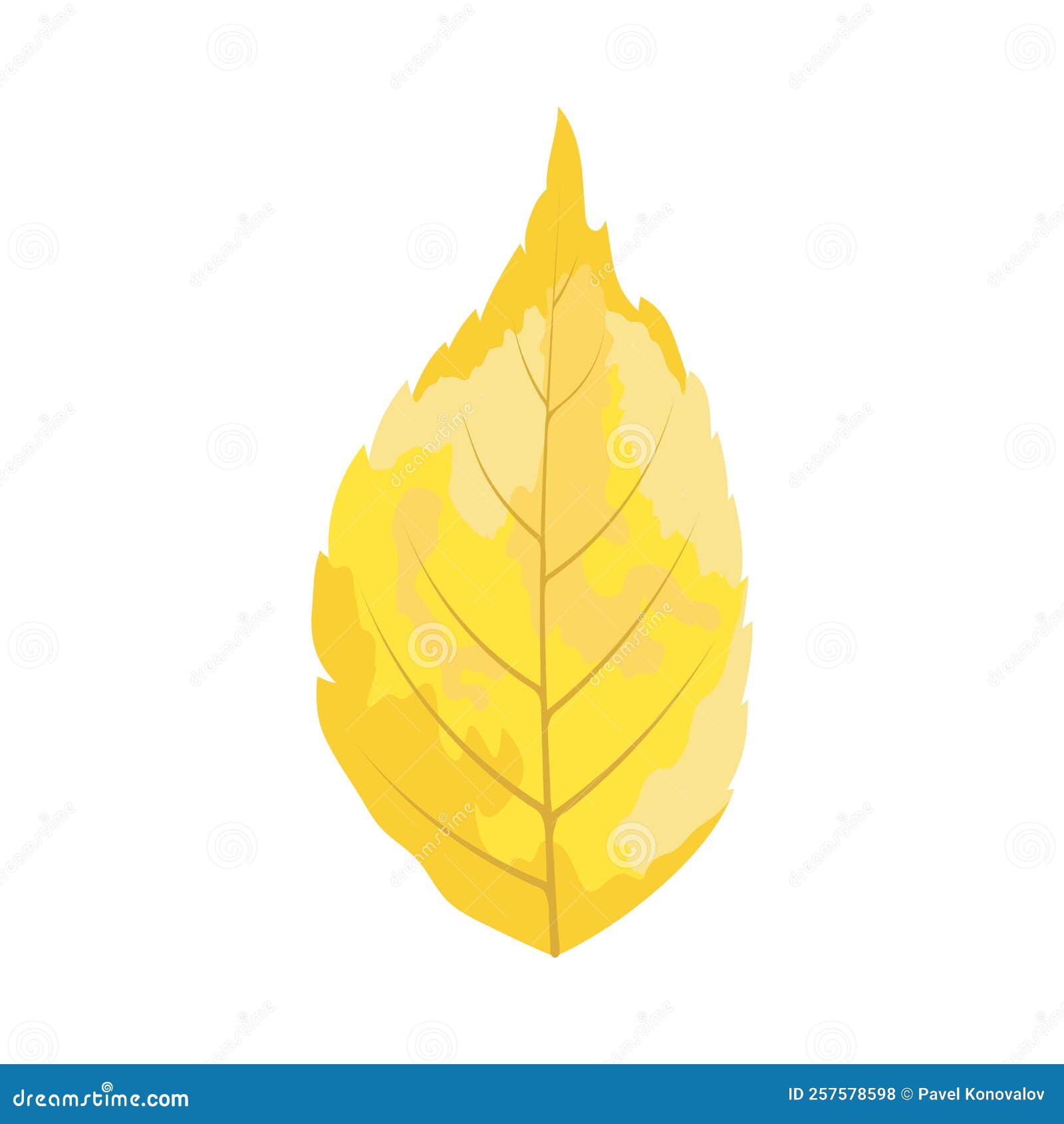 Ash-Tree Leaf stock vector. Illustration of object, design - 257578598