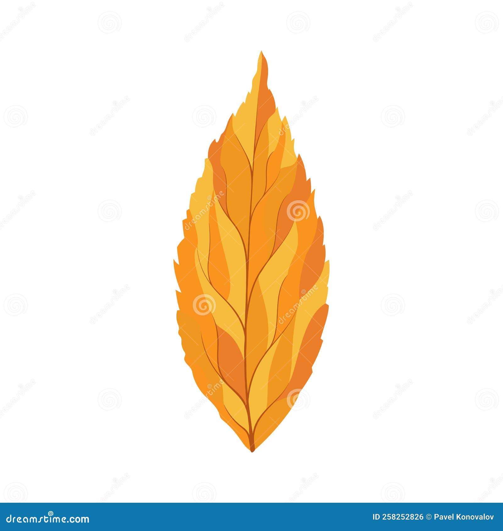 Ash-Tree Leaf stock vector. Illustration of element - 258252826