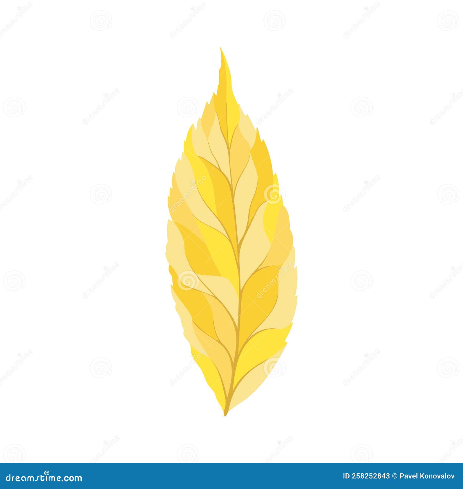 Ash-Tree Leaf stock vector. Illustration of orange, natural - 258252843