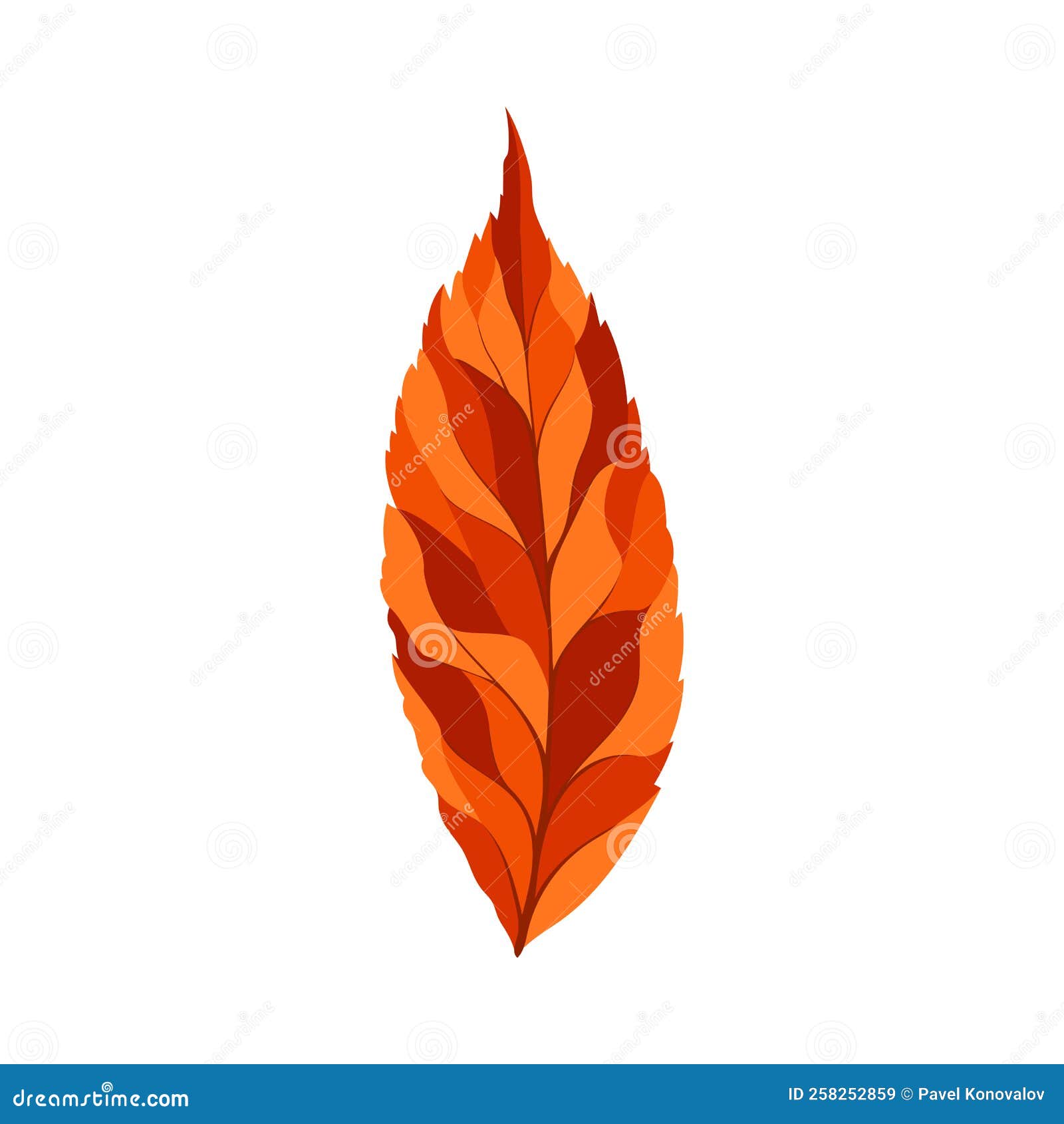 Ash-Tree Leaf stock vector. Illustration of object, catplants - 258252859