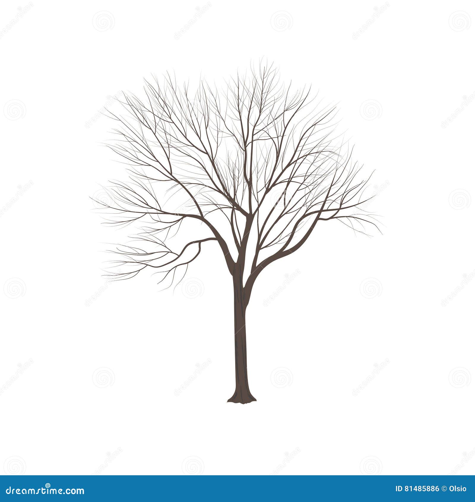 Ash-tree without leaves stock vector. Illustration of nature - 81485886