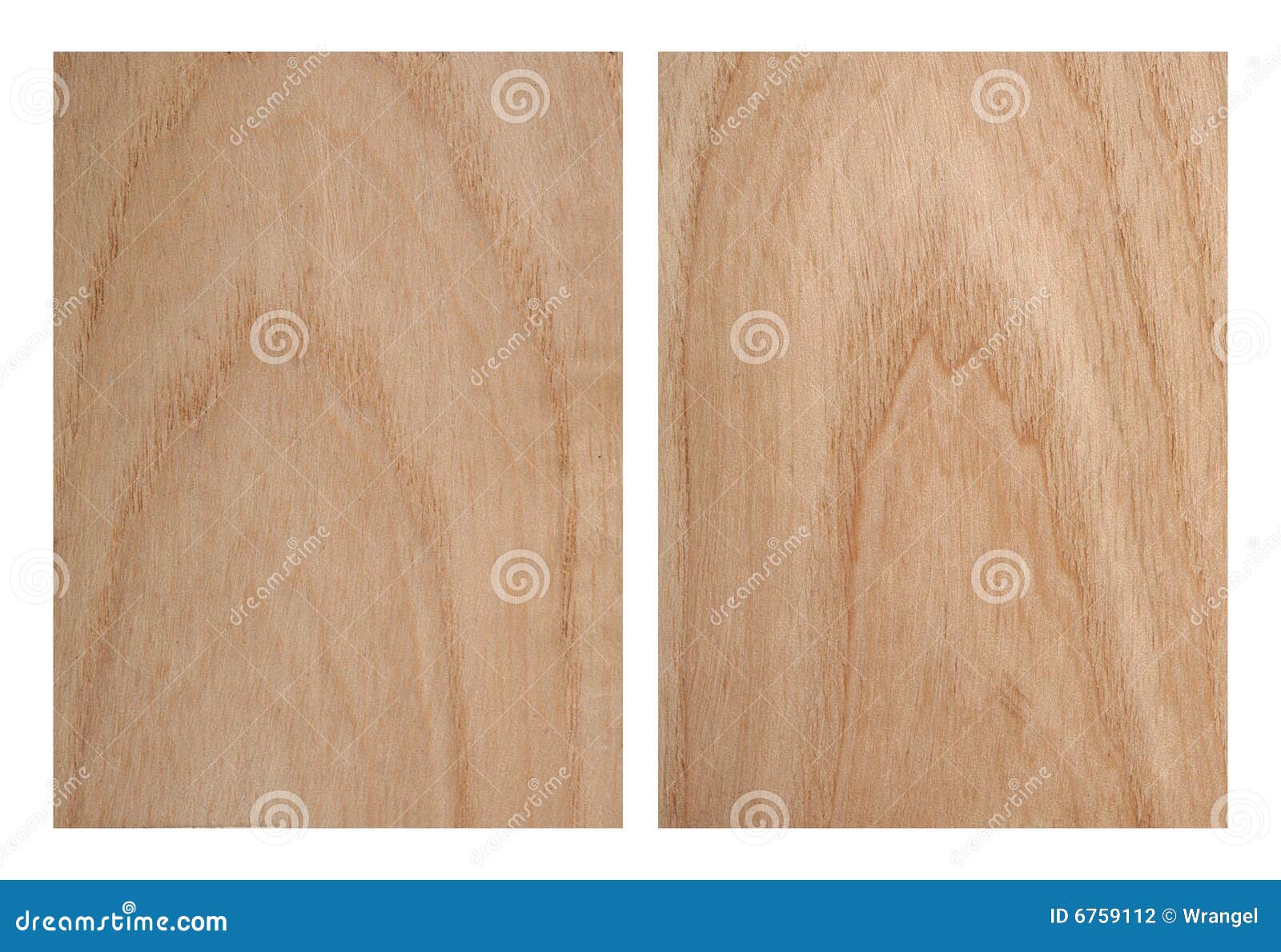 Ash Tree Texture stock photo. Image of level, textured - 6759112