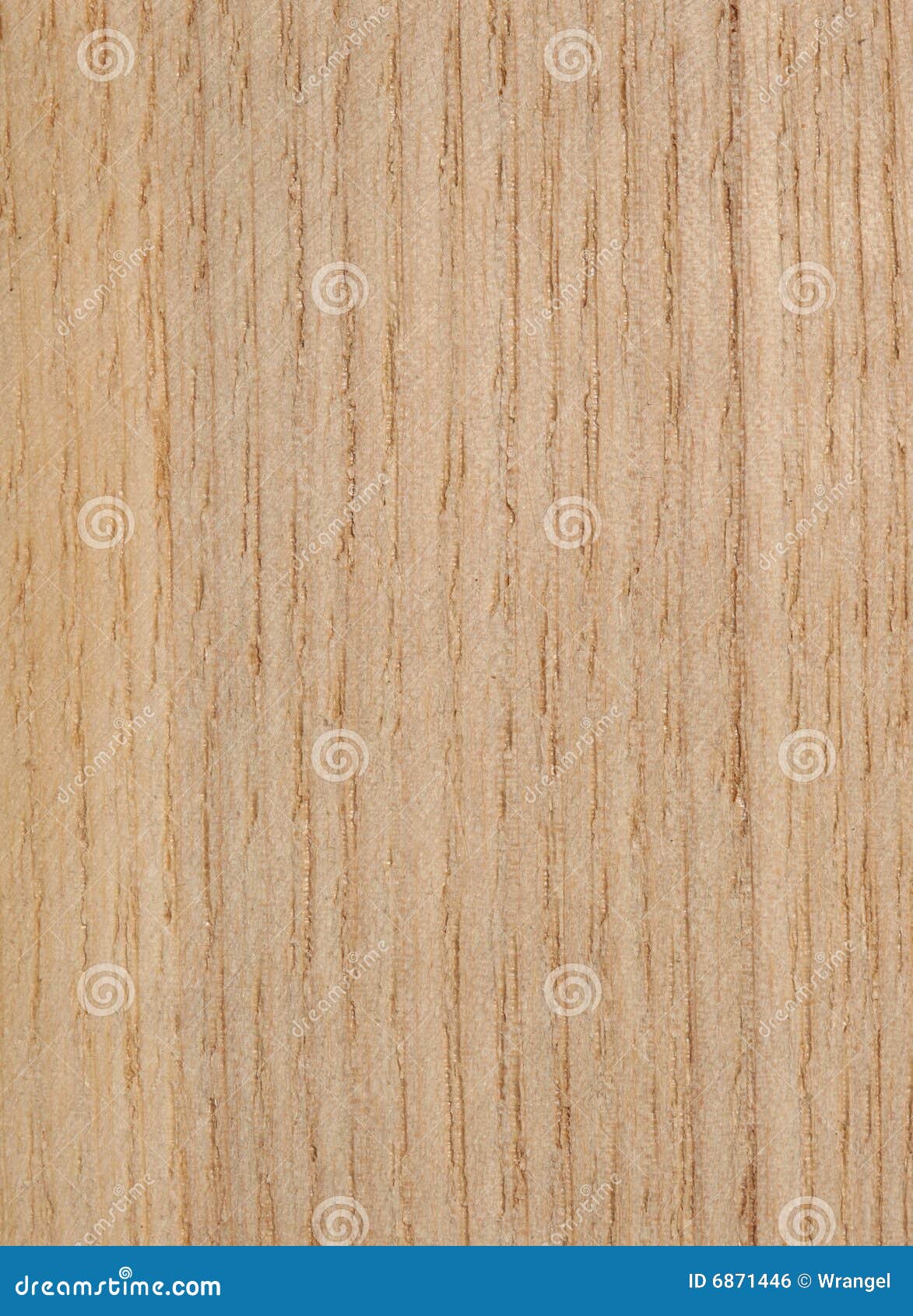 Ash Tree Texture Stock Photo | CartoonDealer.com #6871446 Ash Tree Texture Stock Photo | CartoonDealer.com #6871446