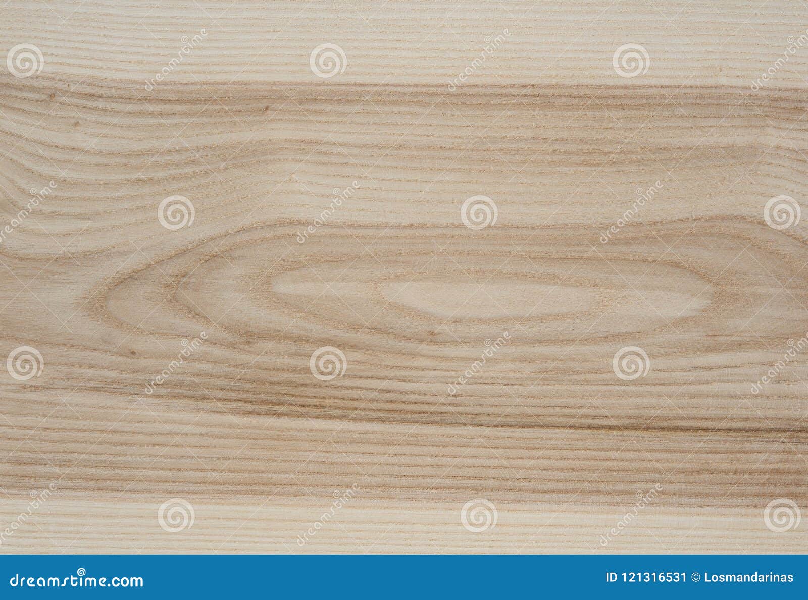 Ash tree wood texture stock image. Image of natural - 121316531 Ash tree wood texture stock image. Image of natural - 121316531