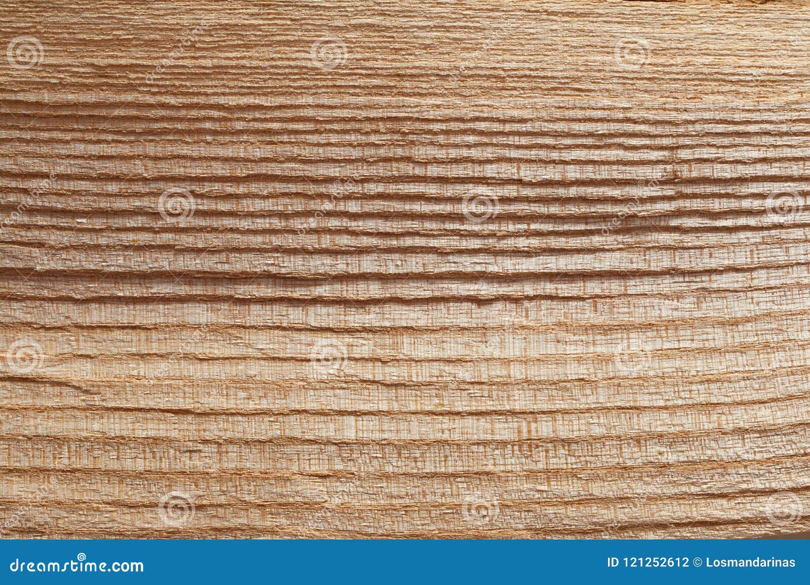 Ash tree wood texture stock photo. Image of horizontal - 121252612