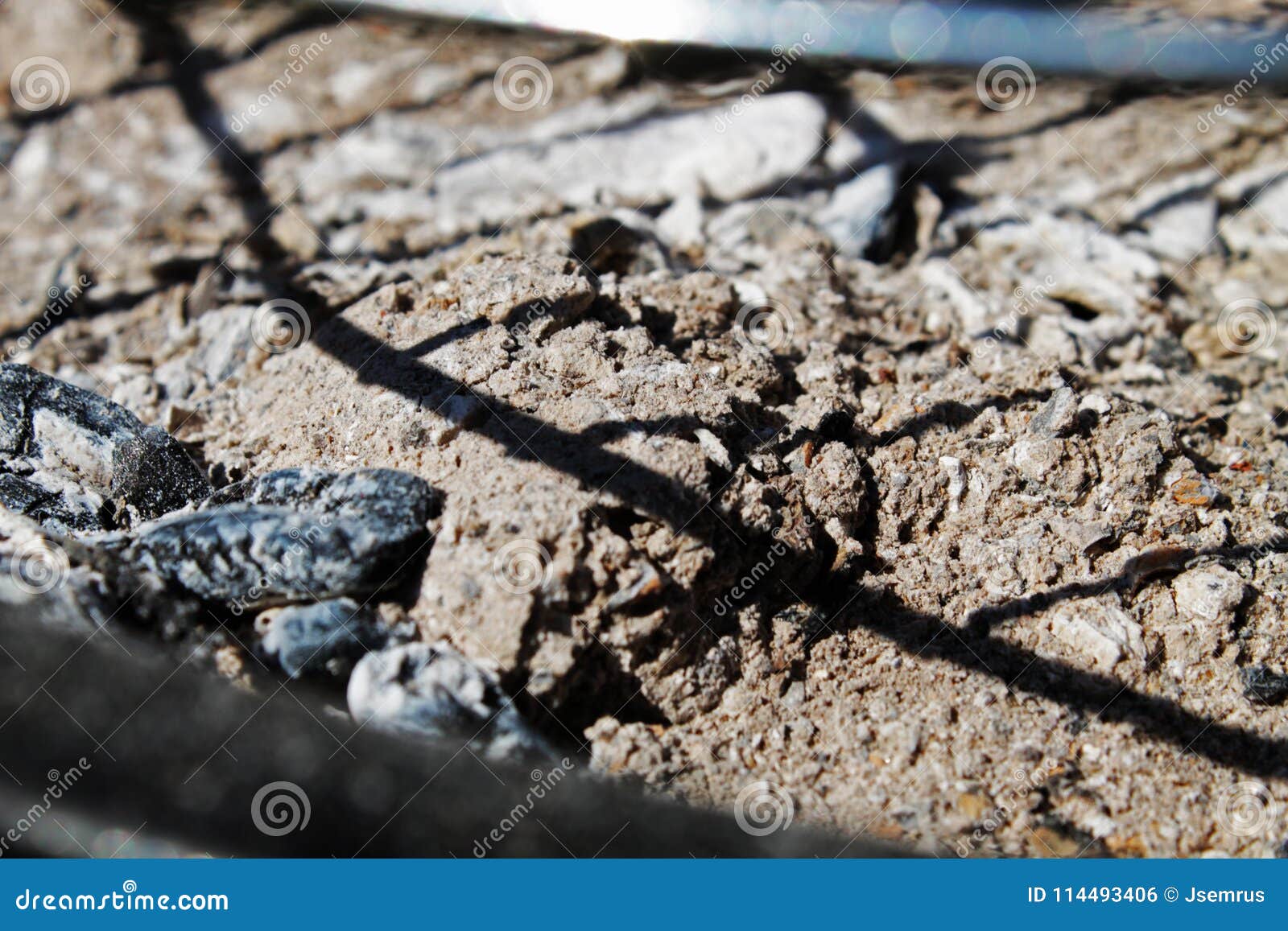 The ash stock photo. Image of macro, closeup, green - 114493406