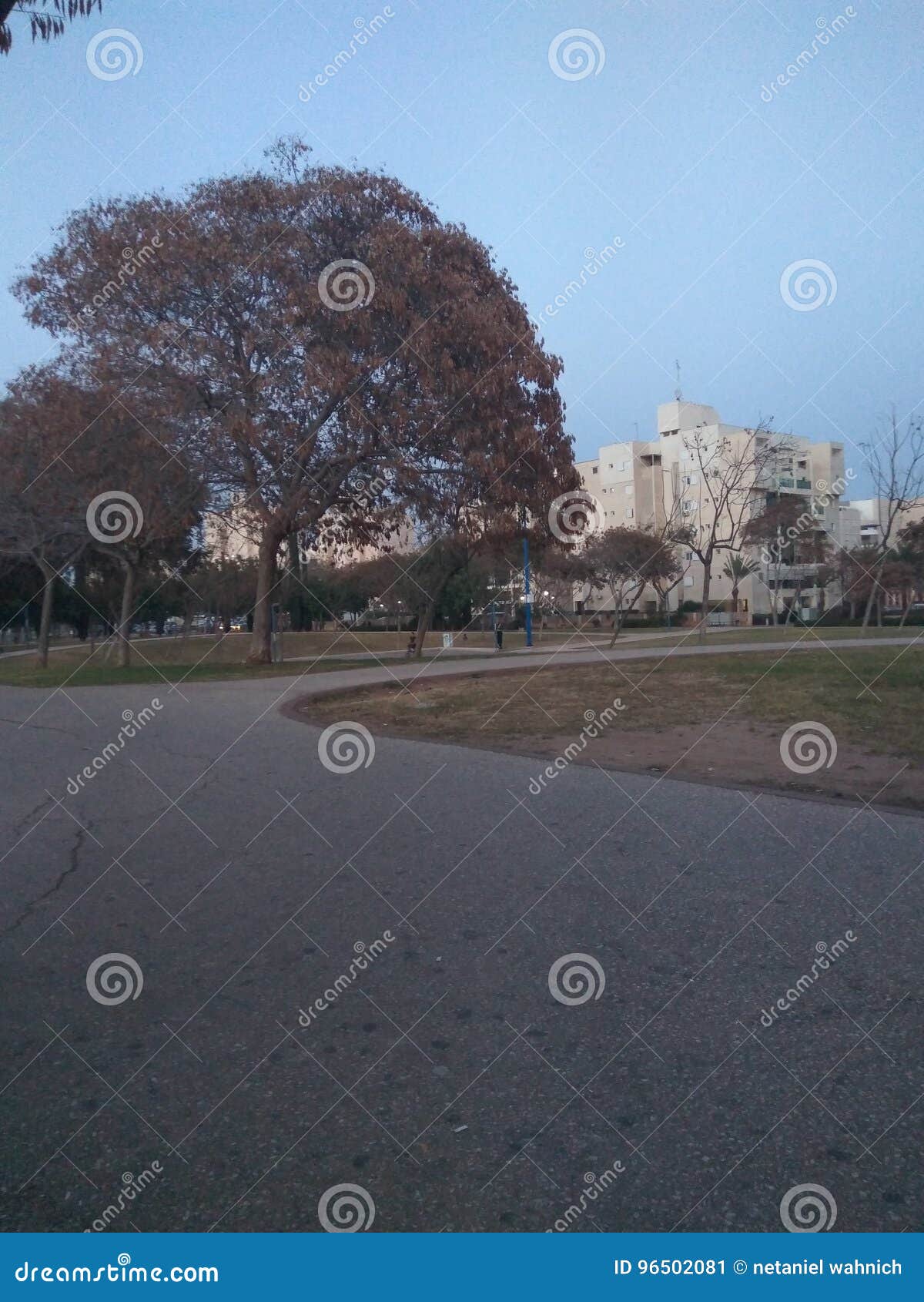 Ashdod stock image. Image of nice, ashdod, park, trees - 96502081