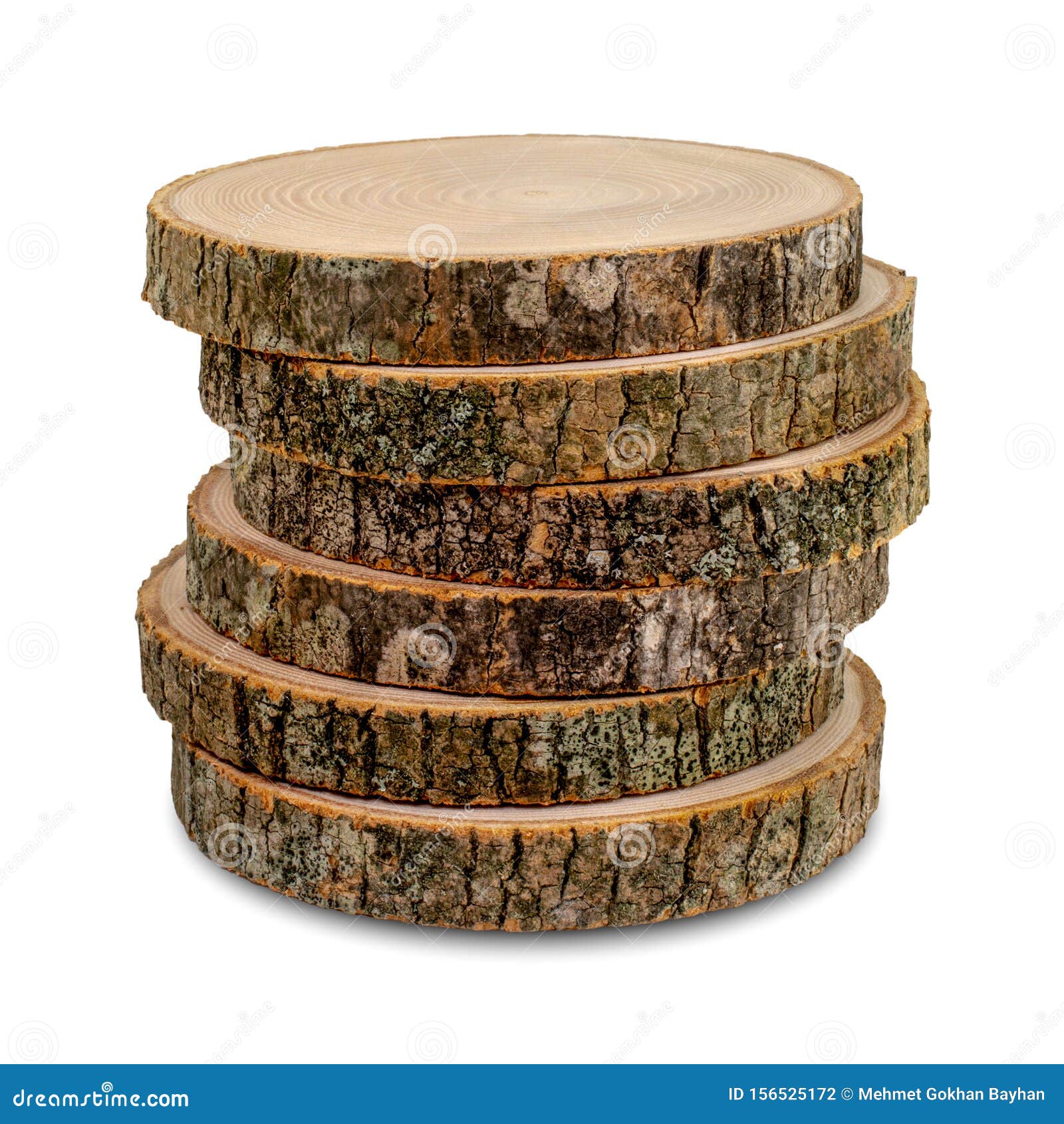 Ashen Tree Cross Sections, Top View. Wood Textures. Tree Trunk Close-up ...