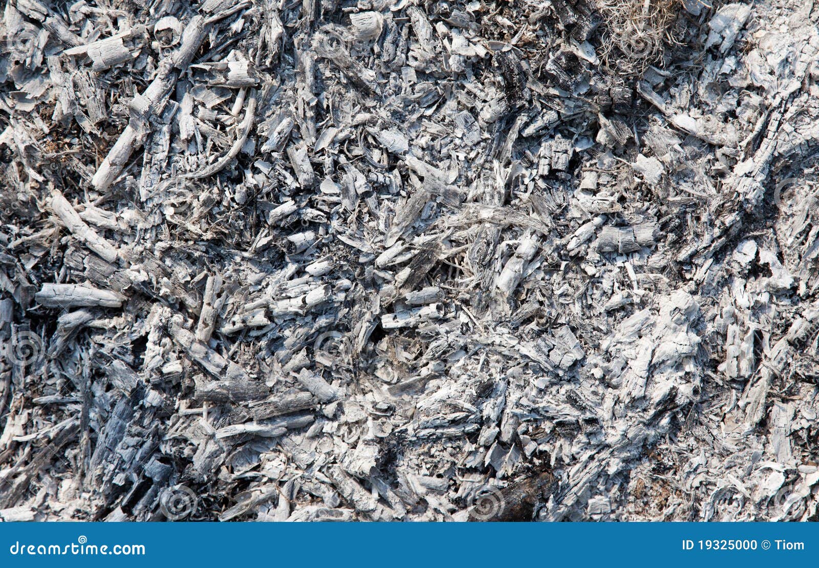 Ashes stock photo. Image of forest, environment, campfire - 19325000