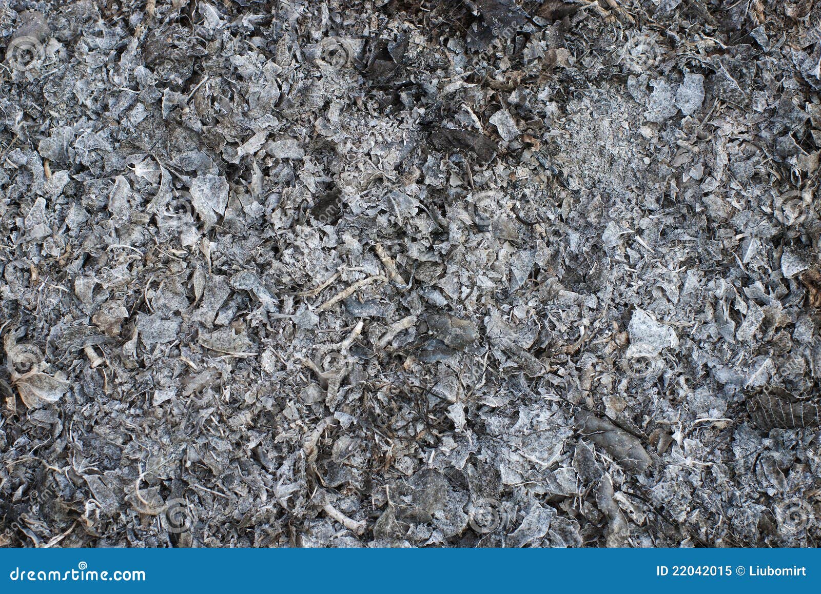 Ashes stock image. Image of abstract, fall, rough, texture - 22042015