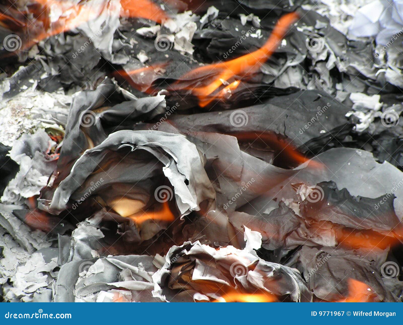 Ashes stock image. Image of black, dying, cremation, ashes - 9771967