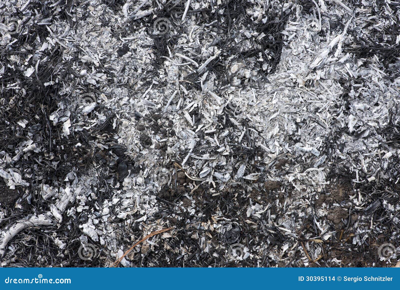 Ashes Background stock photo. Image of ashes, burn, grunge - 30395114